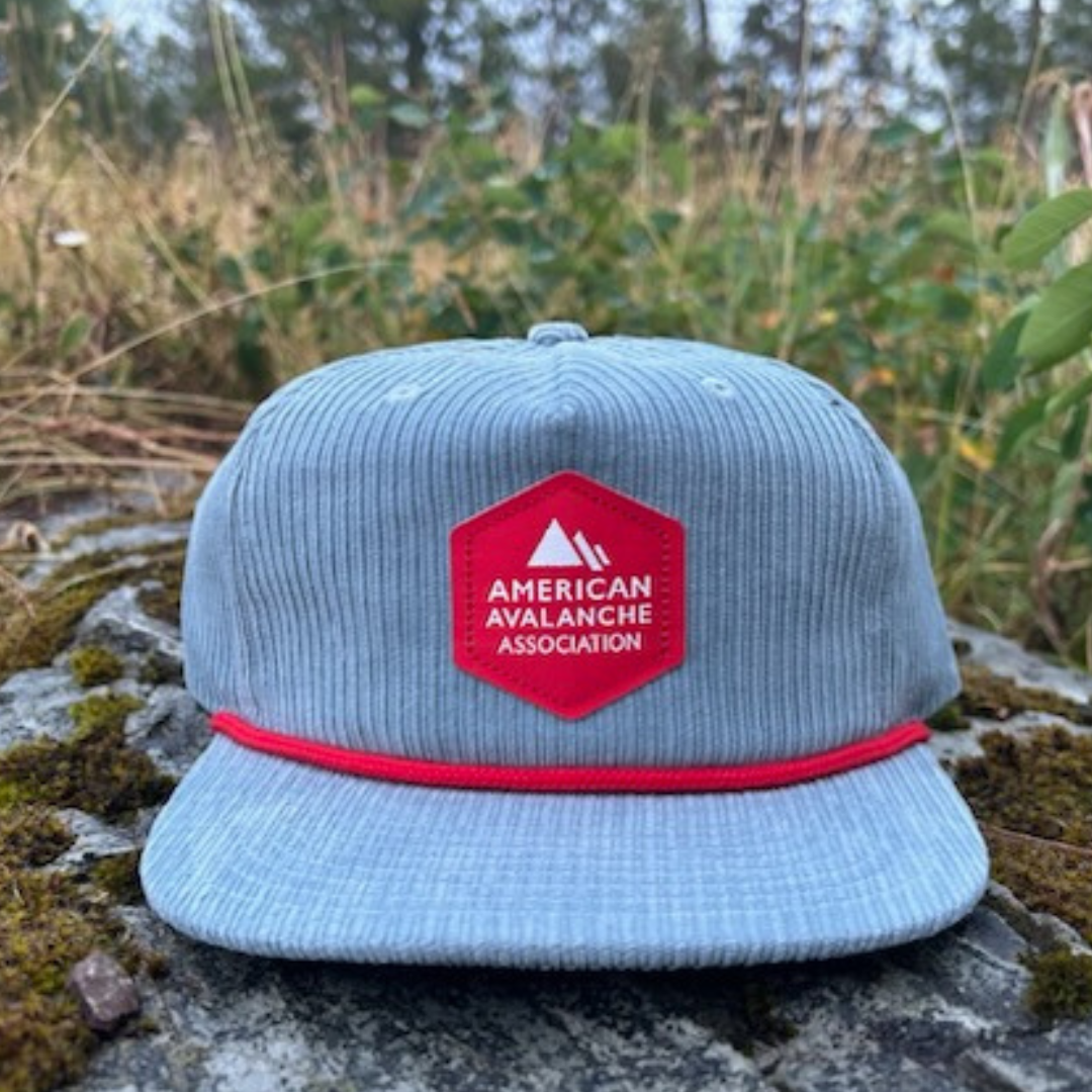 Store — American Avalanche Association
