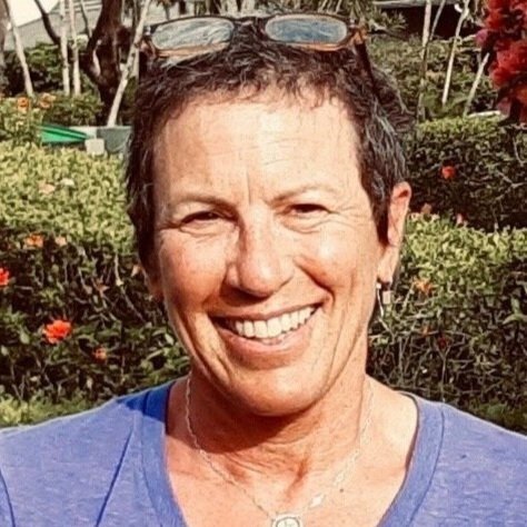 A3 Team — American Avalanche Association