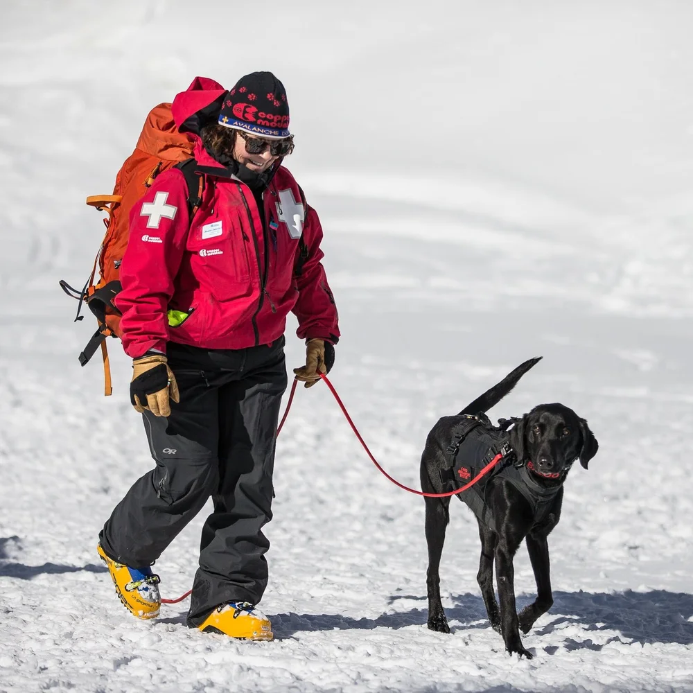 Avalanche Dog Memorial List — American Avalanche Association