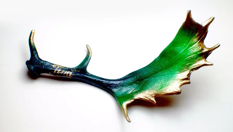 Antlers Gallery — Virginia the Wolf