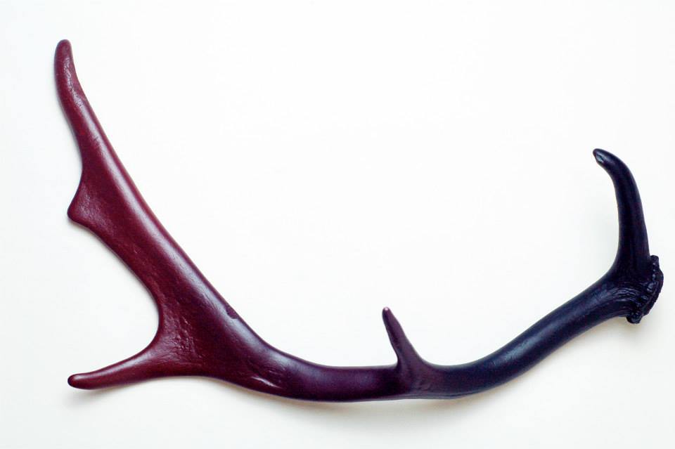 Antlers Gallery — Virginia the Wolf