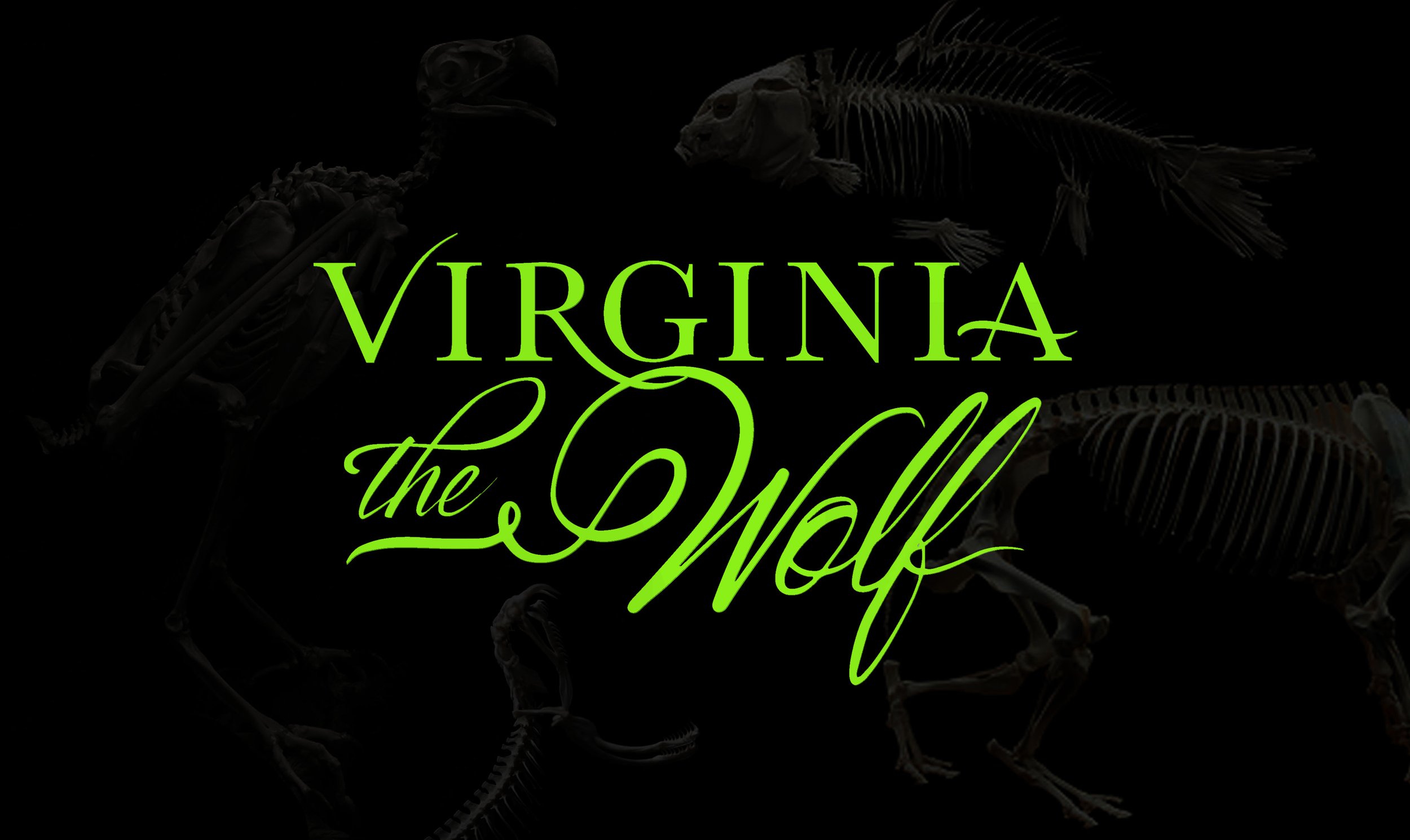 Virginia the Wolf