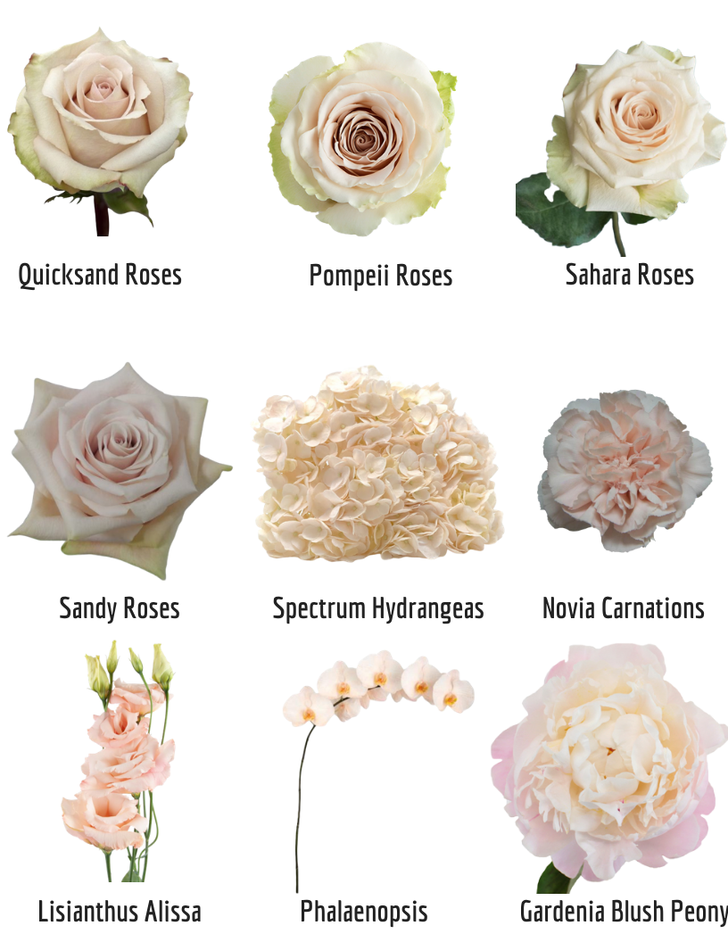 Types Of Peach Flowers