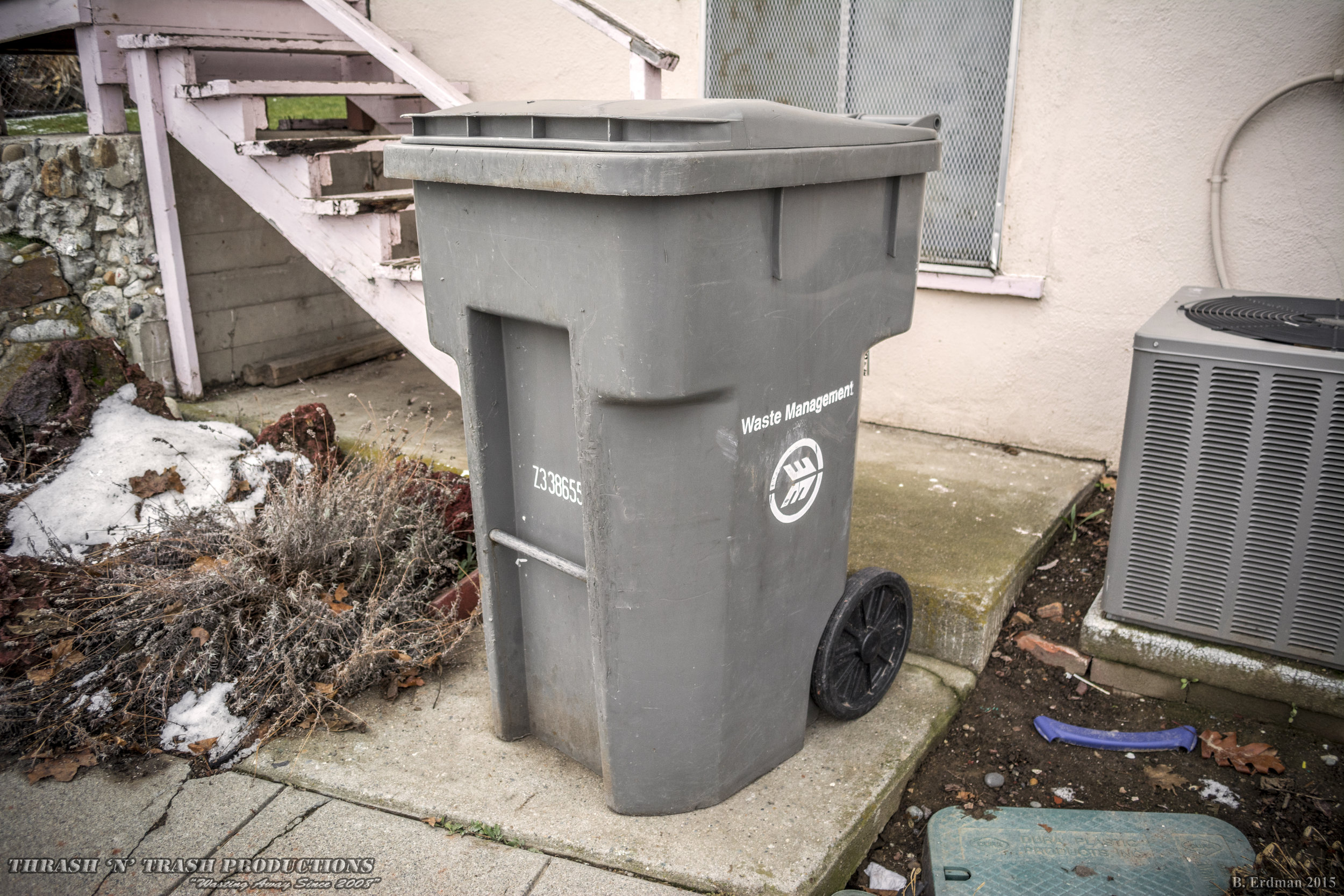 Cascade Cart — Thrash 'N' Trash Productions