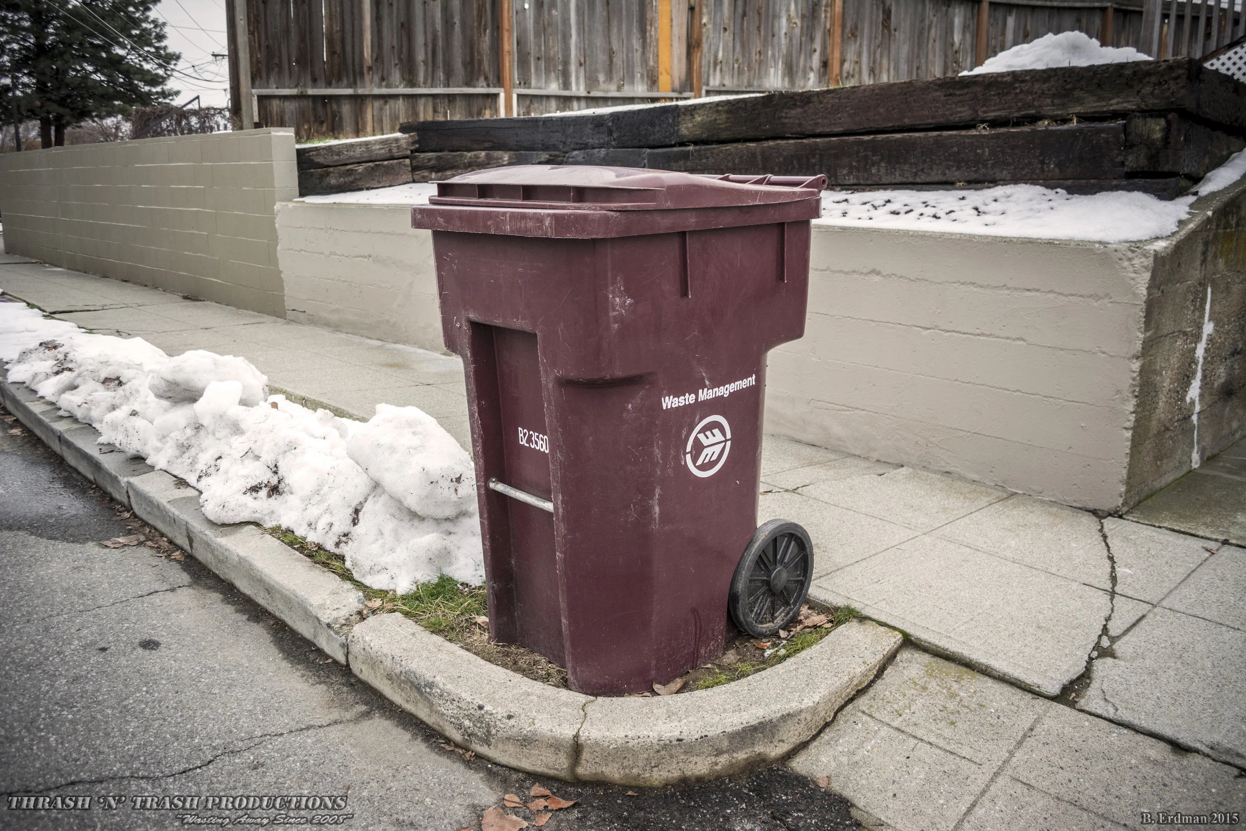 Cascade Cart — Thrash 'N' Trash Productions