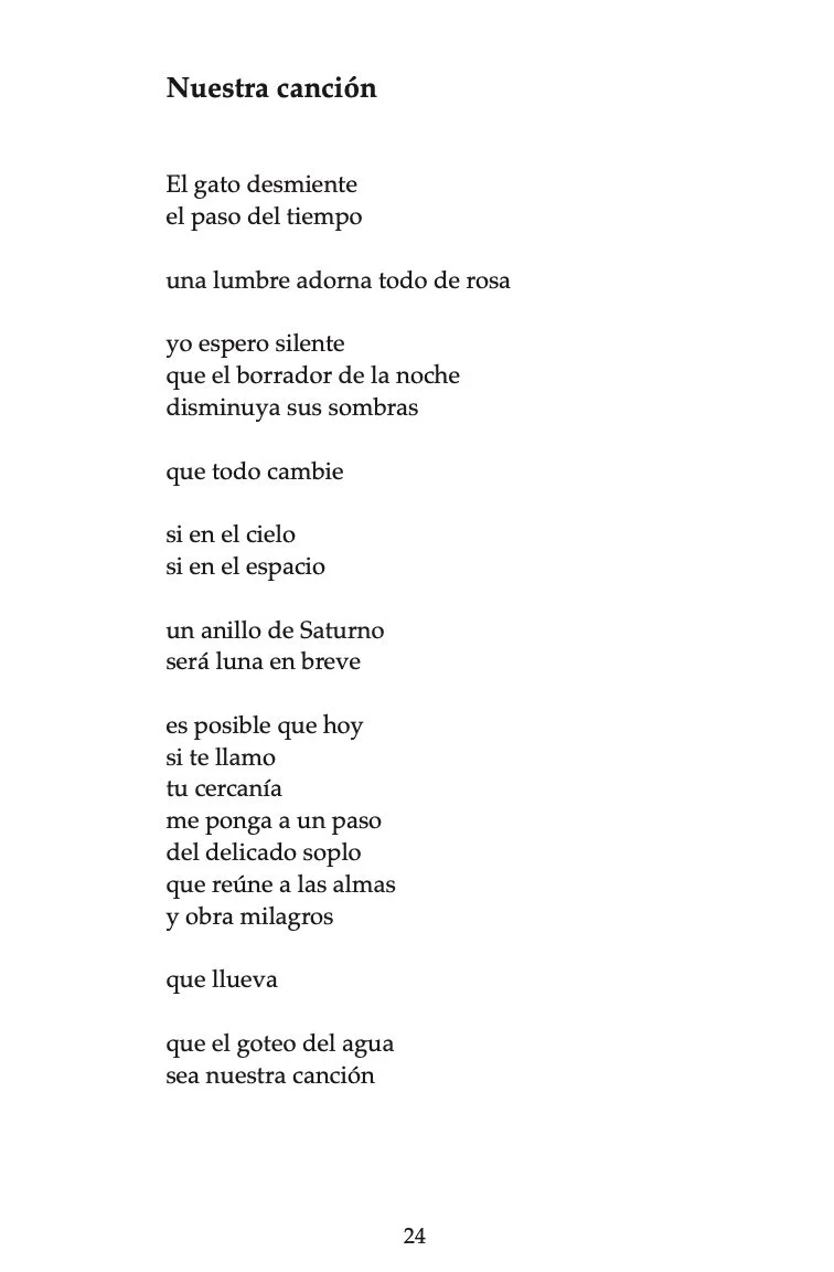 The Farewell Light by Nidia Hernandez — ARROWSMITH
