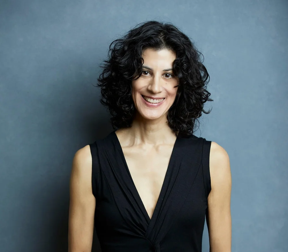 Tiny Extravaganzas: Poems by Diane Mehta — ARROWSMITH