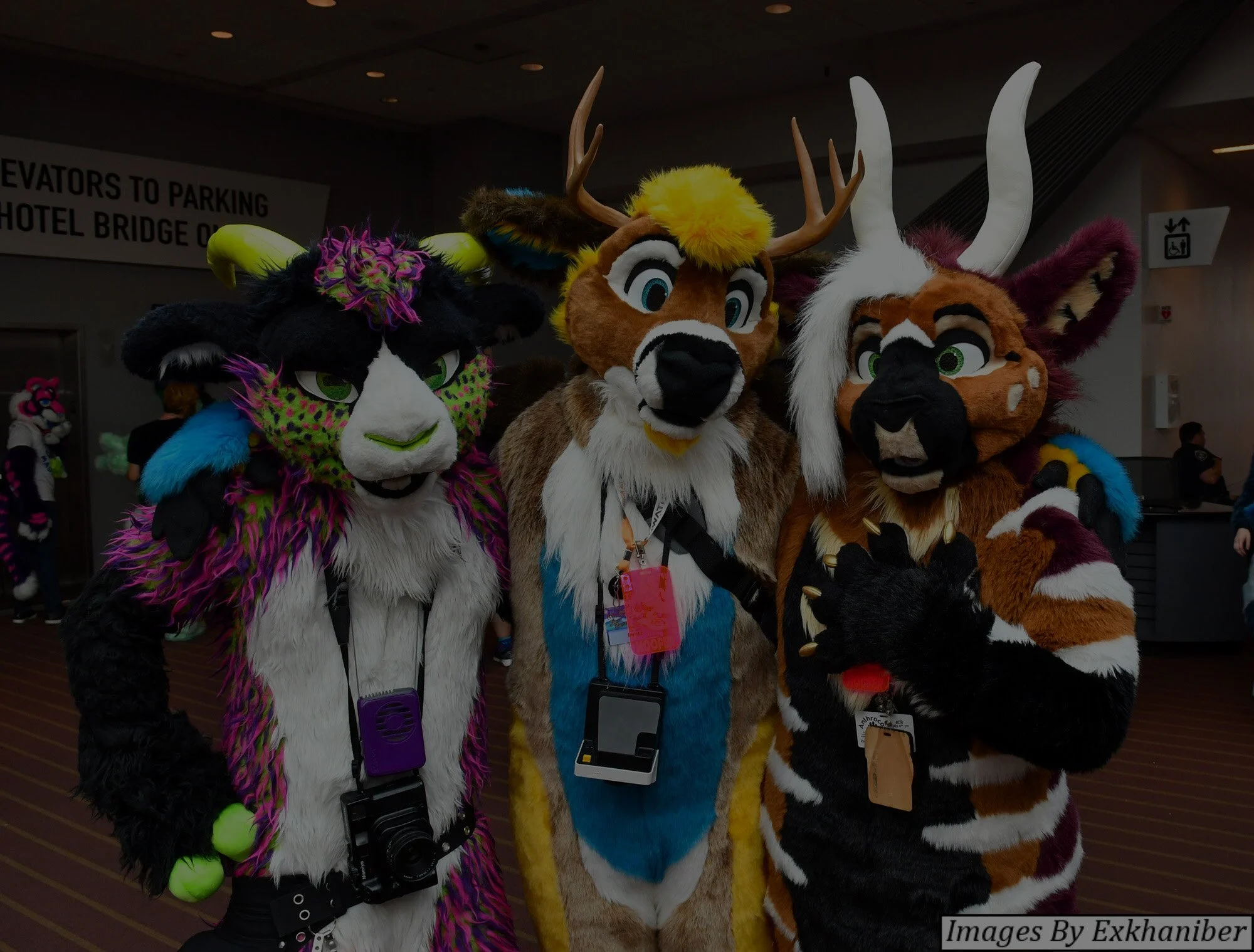 Anthrocon Registration — Anthrocon 2022 - Aesop's Fables - June 30-July ...