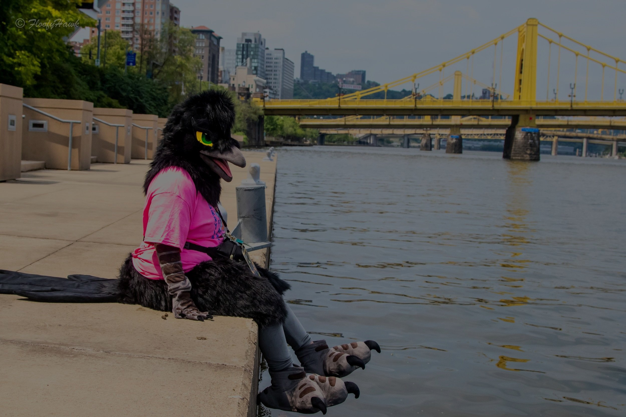 Anthrocon 2023: Holiday season updates — Anthrocon 2024: AnthroCoaster ...