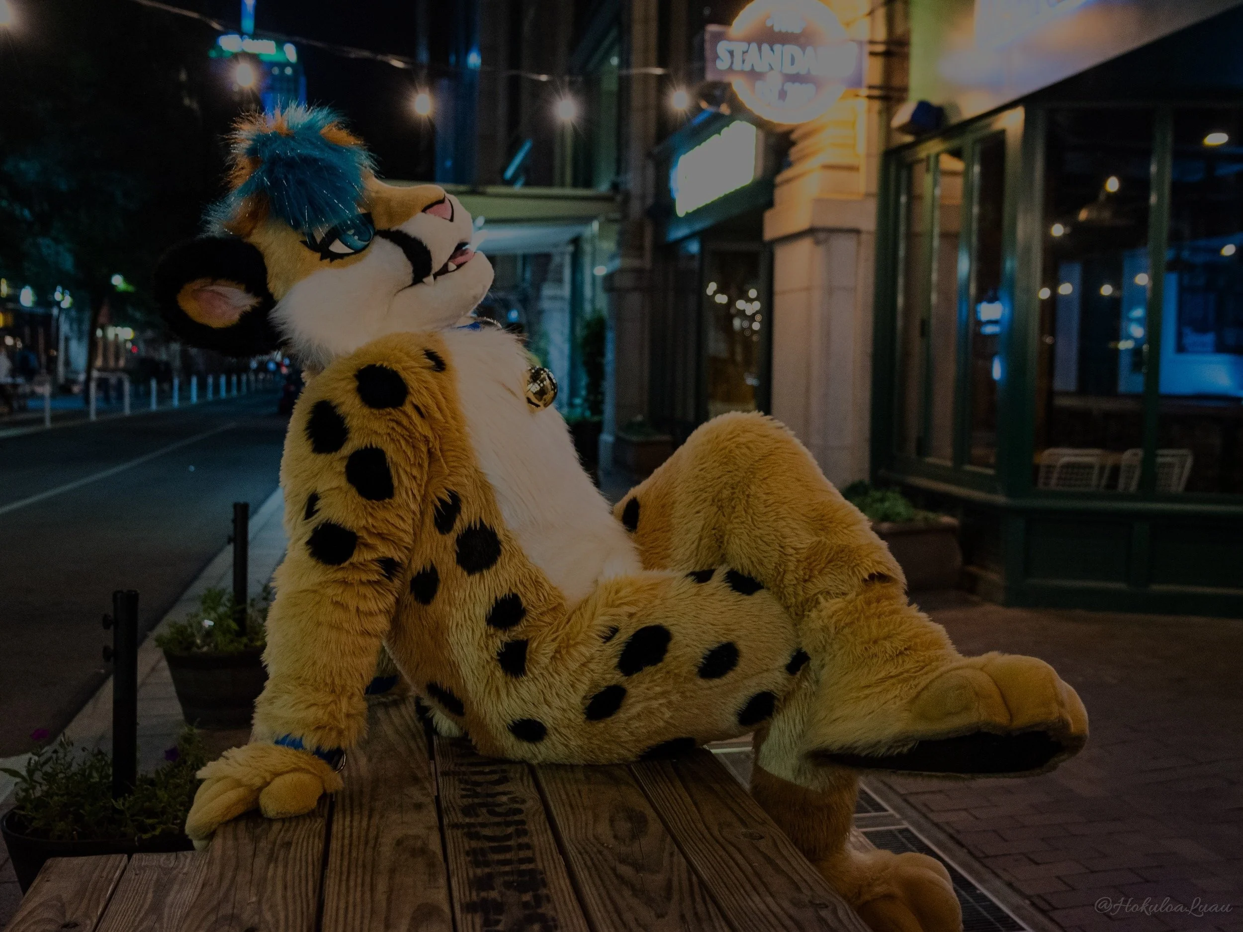 Anthrocon 2023: Fur-bruary Updates — Anthrocon 2024: AnthroCoaster ...