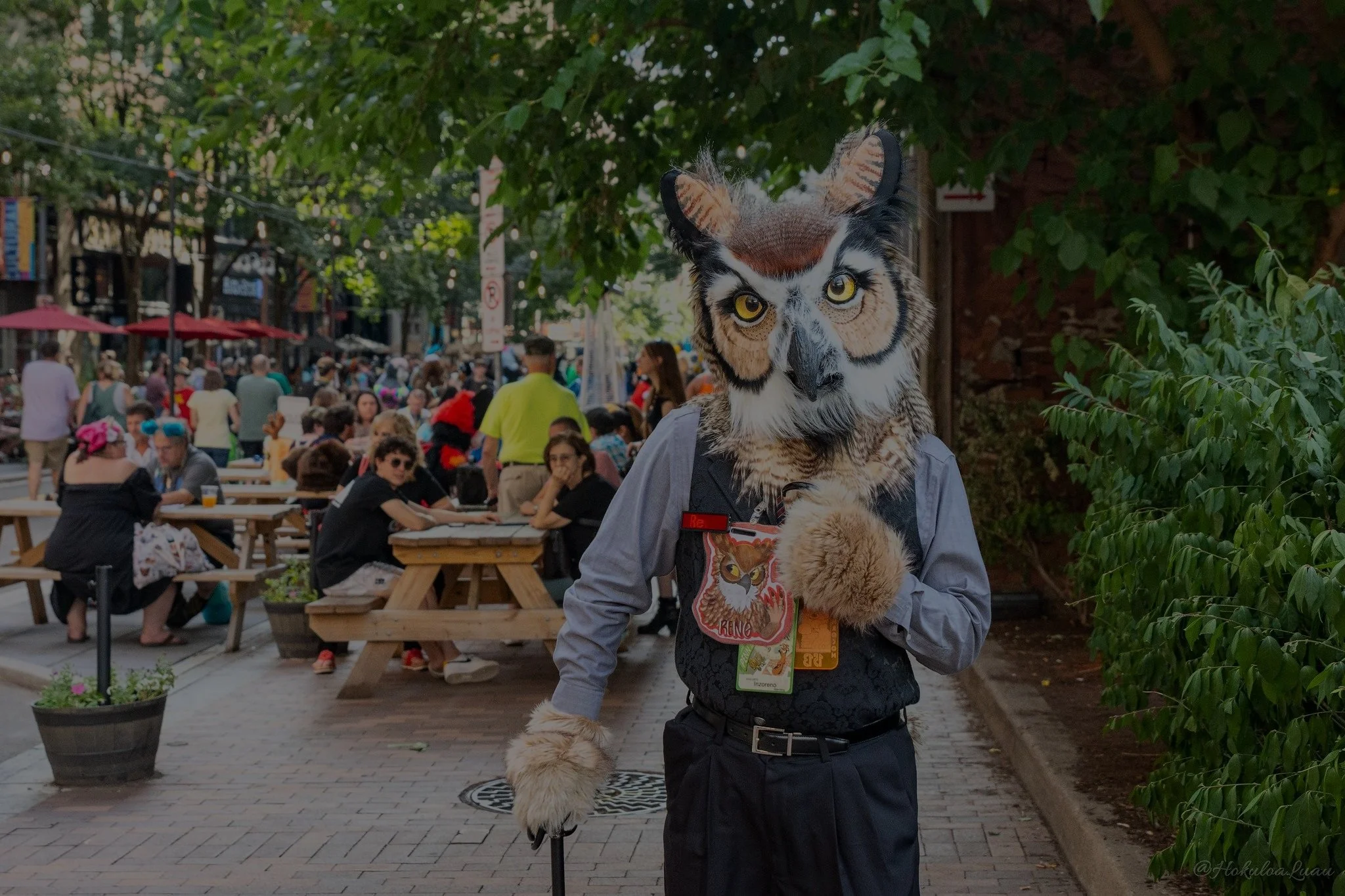 Anthrocon 2023: A-May-zing Updates — Anthrocon 2023 - Anthropolis: Our ...