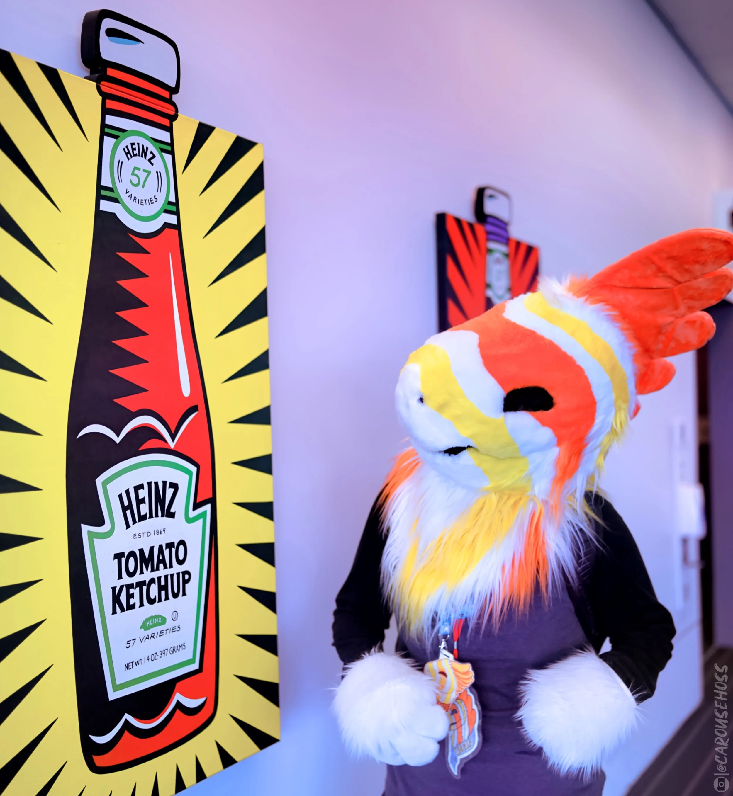 Do's and don'ts of interacting with fursuiters — Anthrocon 2024: AnthroCoaster - July 4-7, 2024