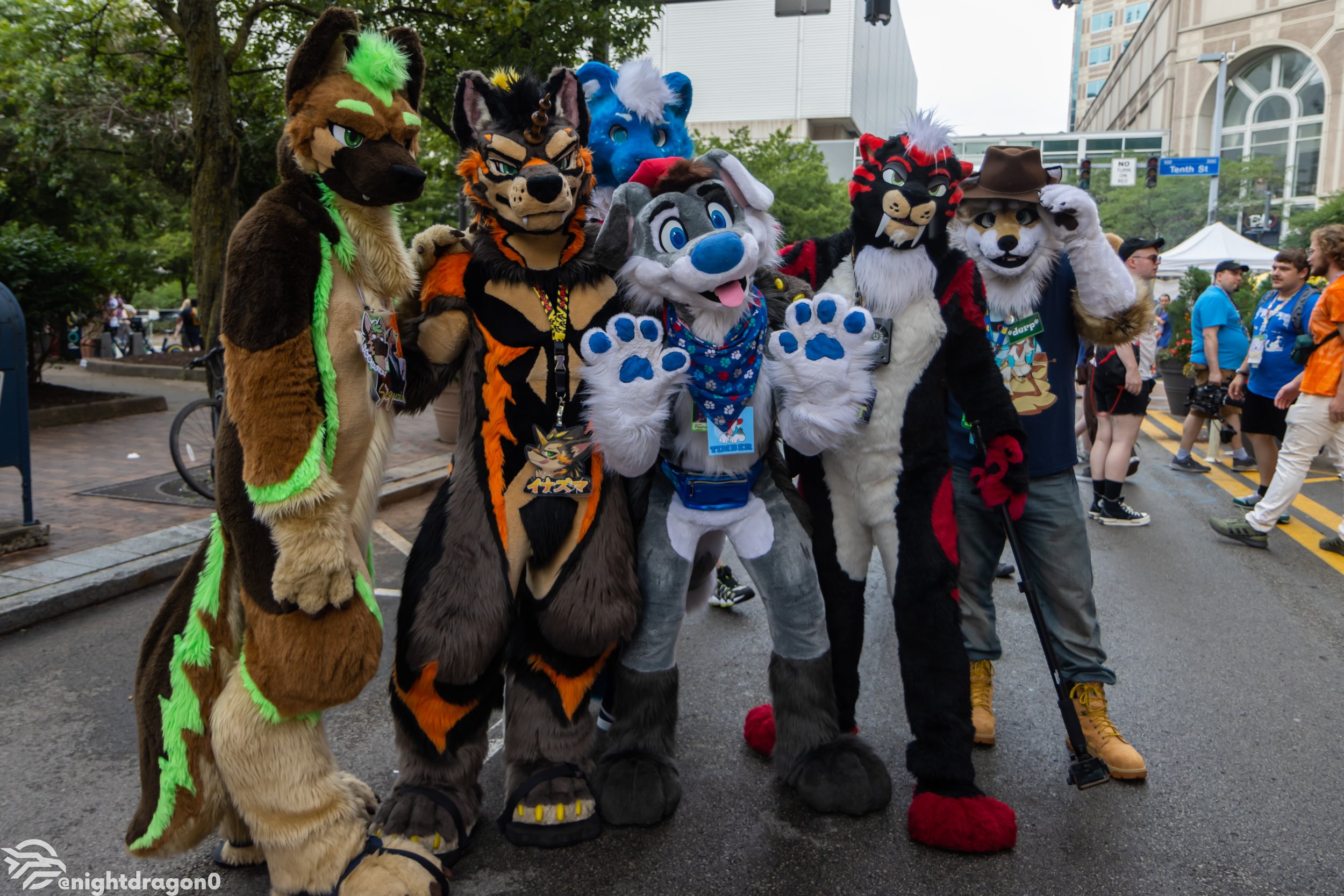 What Is "Furry"? — Anthrocon 2024: AnthroCoaster - July 4-7, 2024
