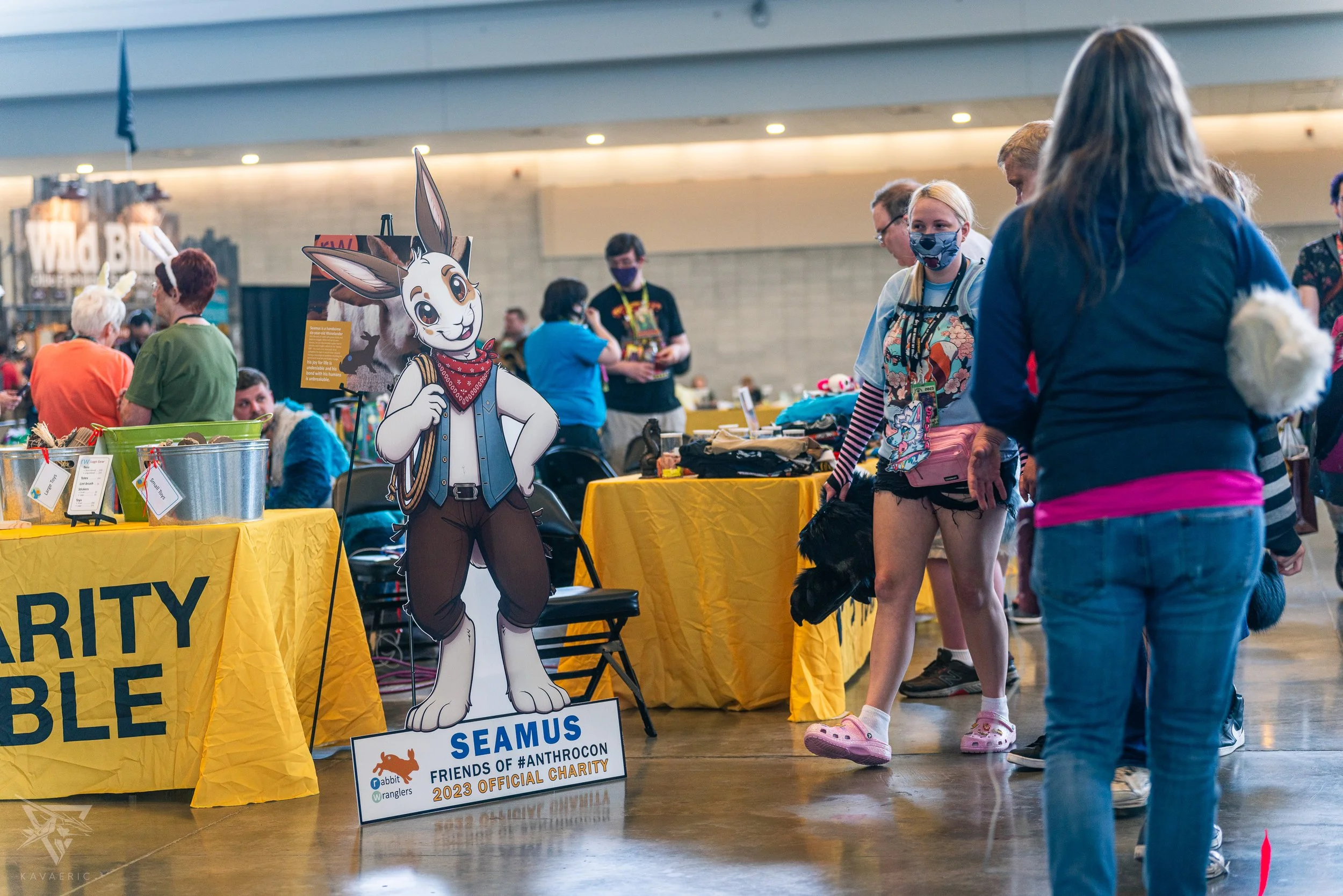 Charity — Anthrocon 2024: AnthroCoaster - July 4-7, 2024