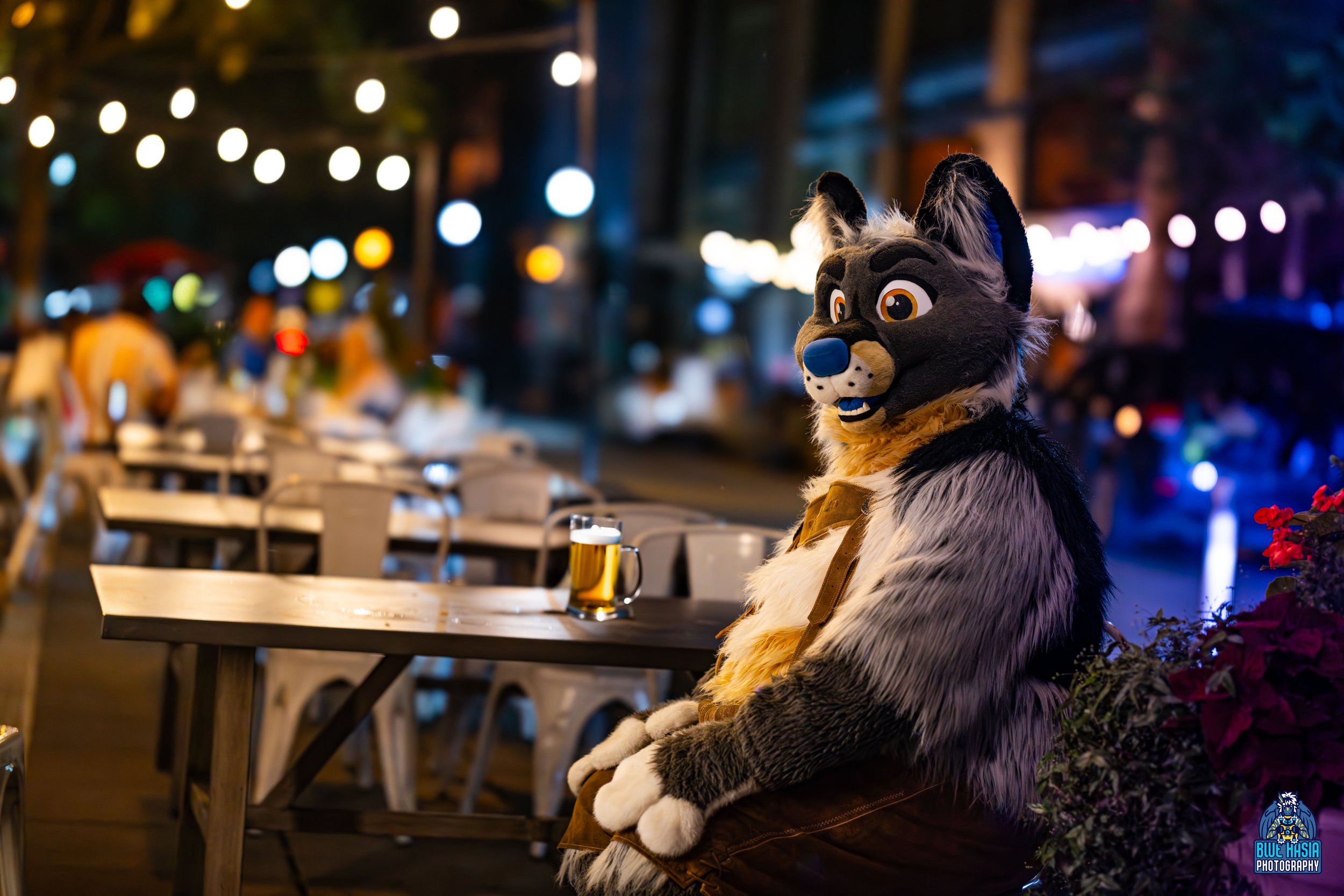 Deals and Offers — Anthrocon 2024: AnthroCoaster - July 4-7, 2024
