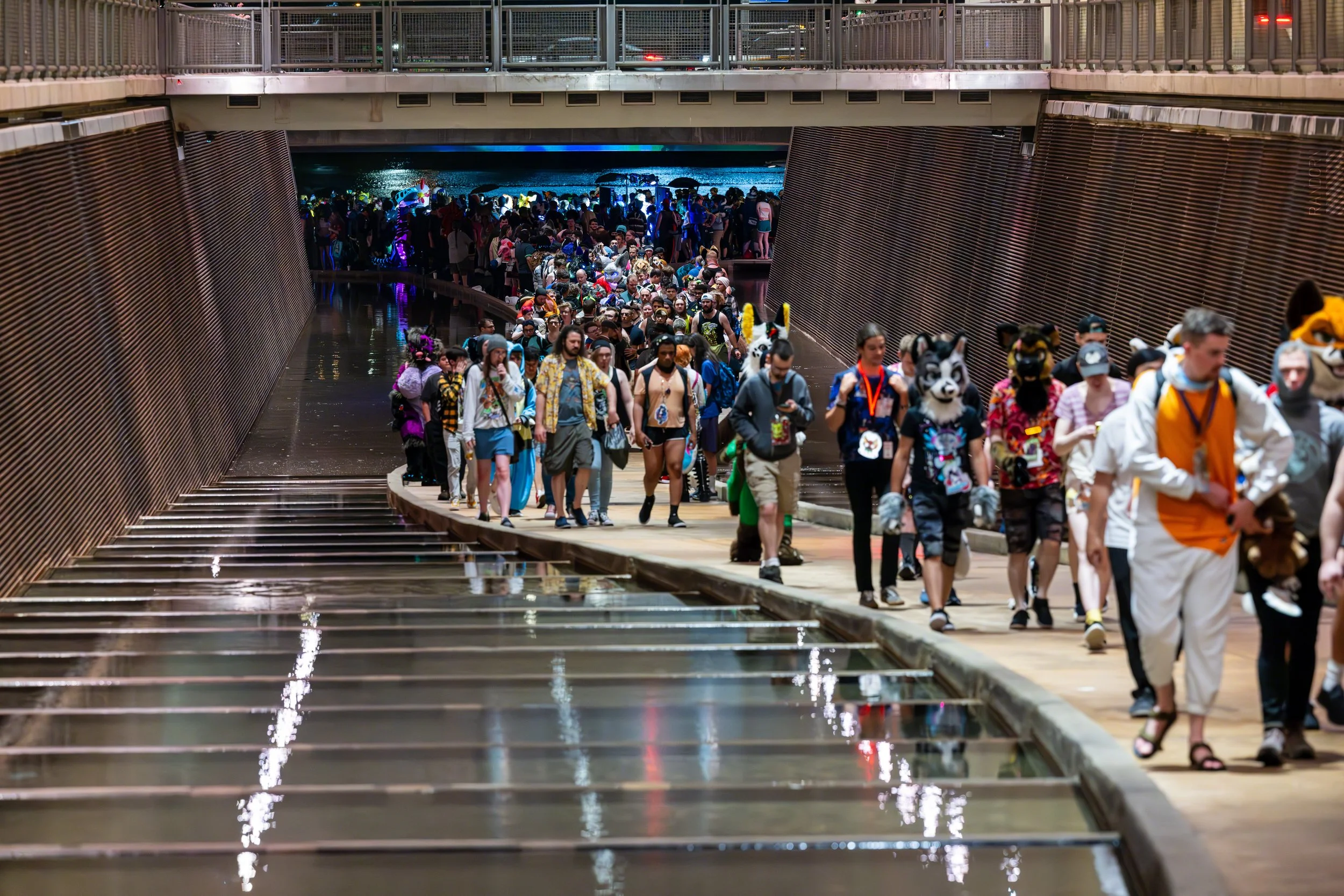 Furry community & convention growth — Anthrocon 2024: AnthroCoaster ...
