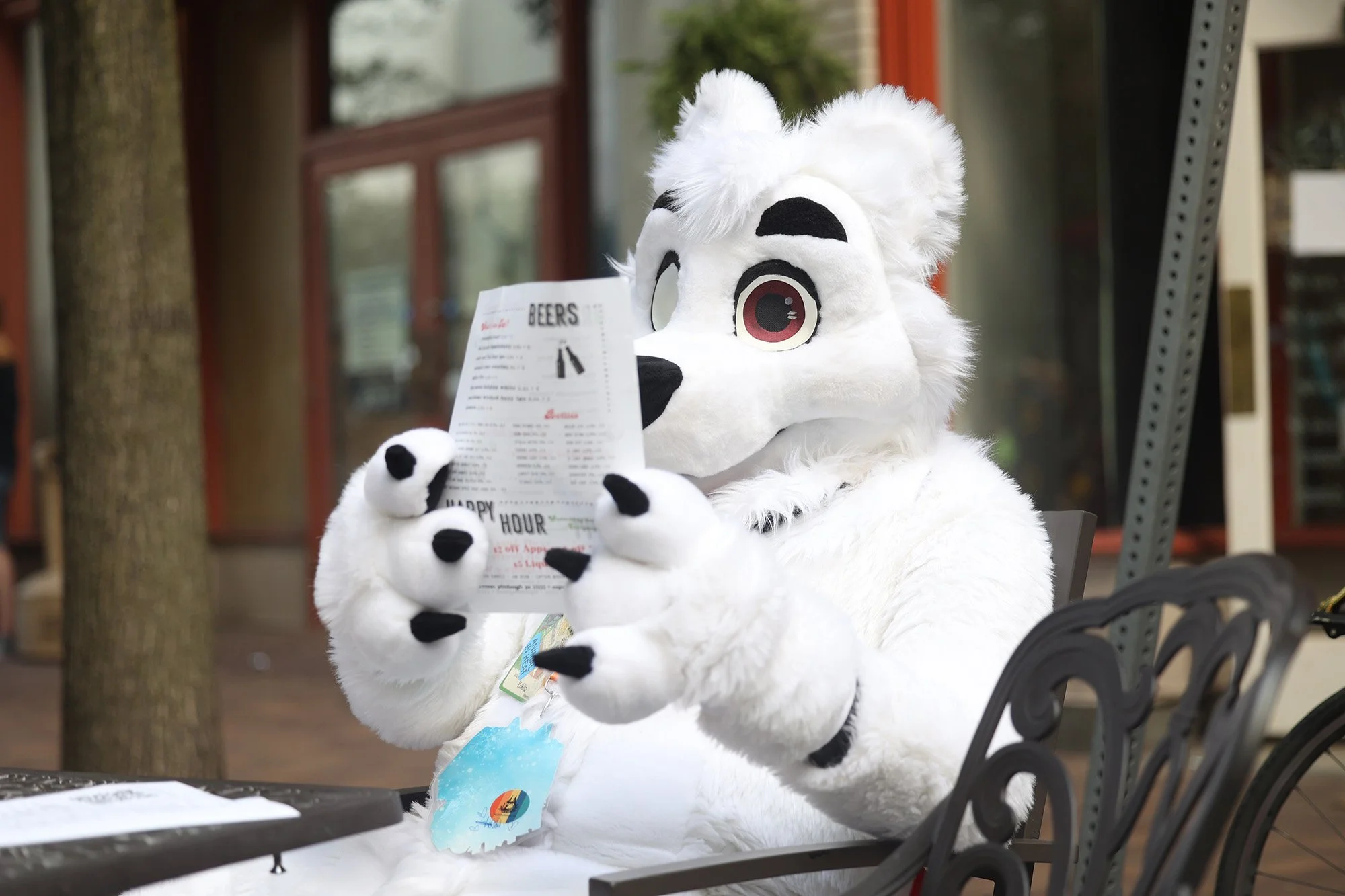 Deals and Offers — Anthrocon 2024: AnthroCoaster - July 4-7, 2024
