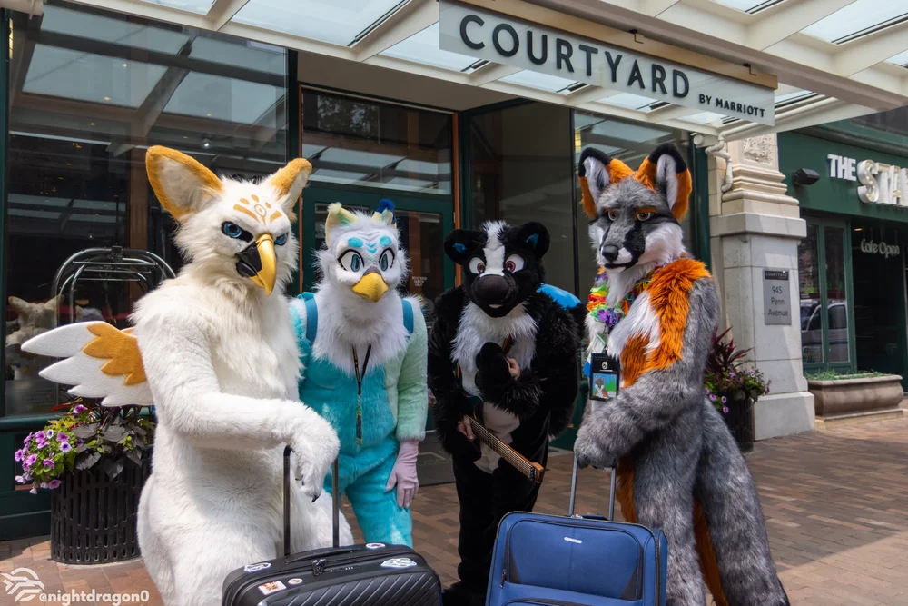 Hotels for Anthrocon — Anthrocon 2024: AnthroCoaster - July 4-7, 2024
