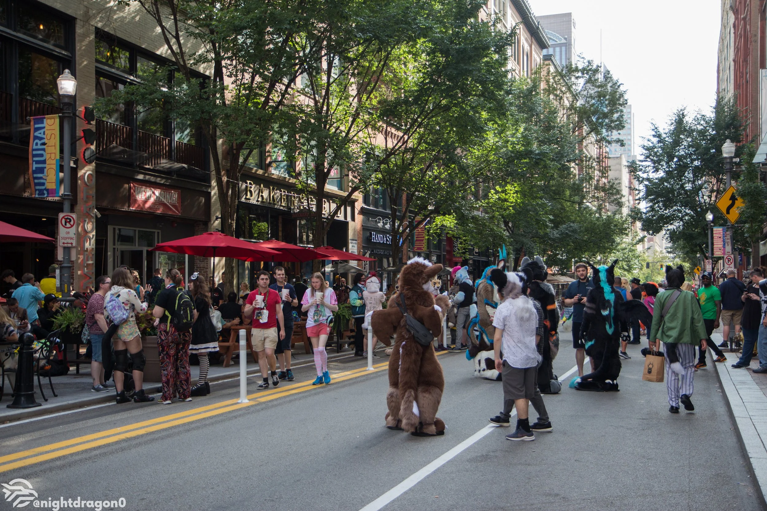 Convention Guides — Anthrocon 2024: AnthroCoaster - July 4-7, 2024
