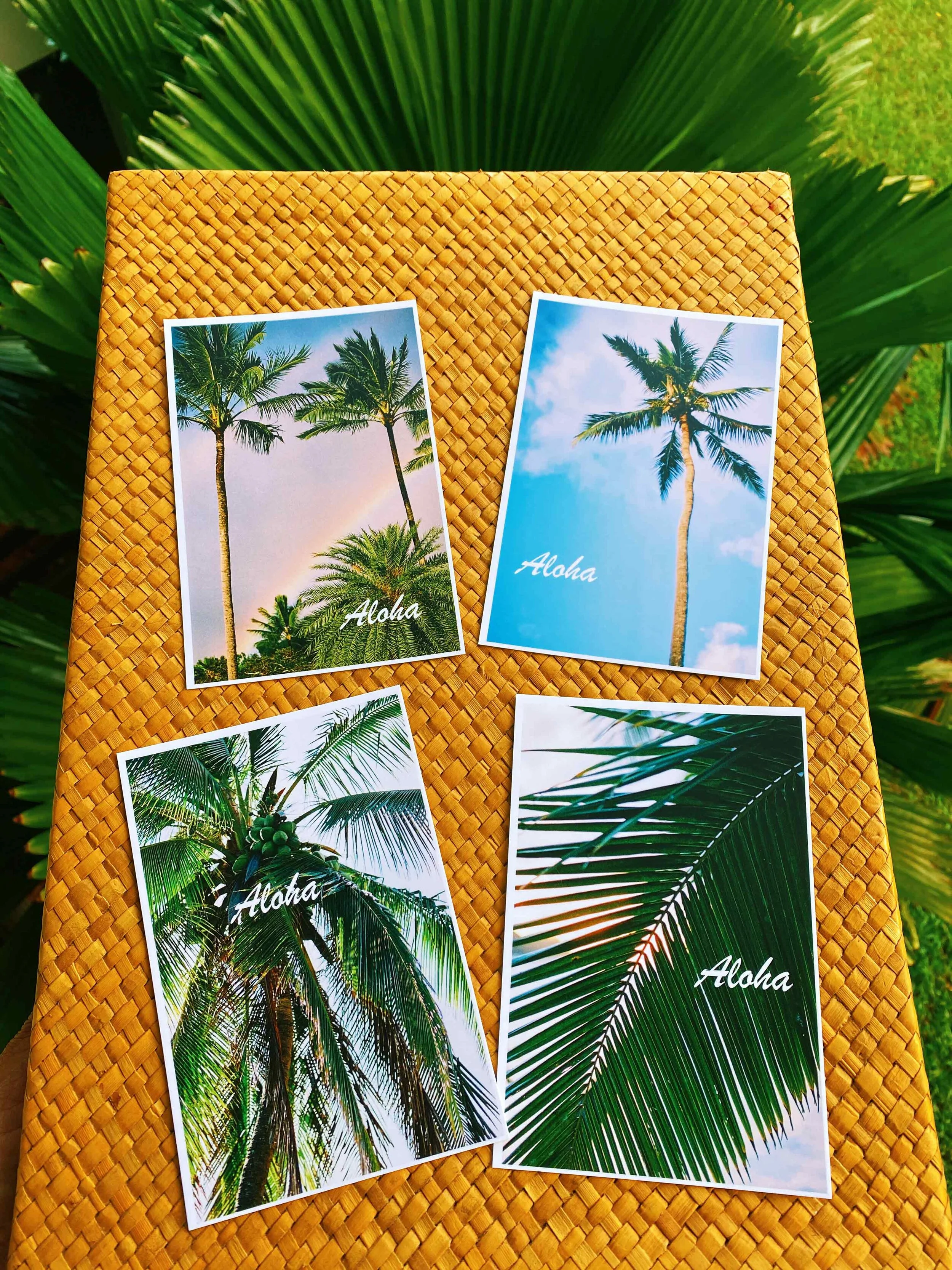 ALOHA PALM | POSTCARDS — Blenda Montoro Fine Art | Kauai . Hawaii