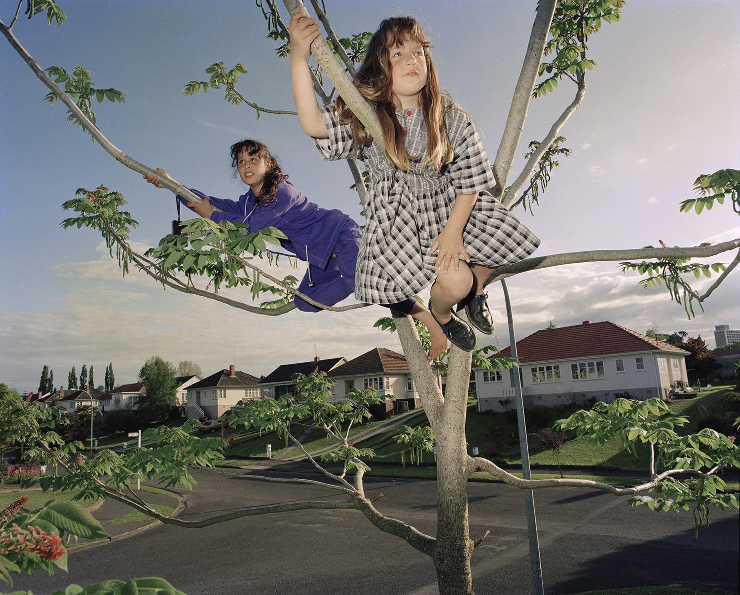 David Cook — Photobook / NZ