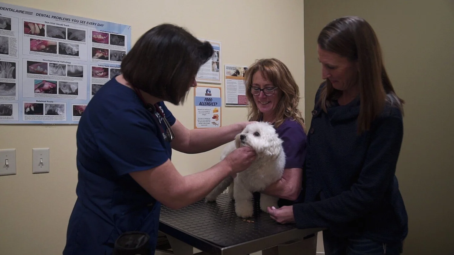 Vet in Victor, NY | Victor Vet Care
