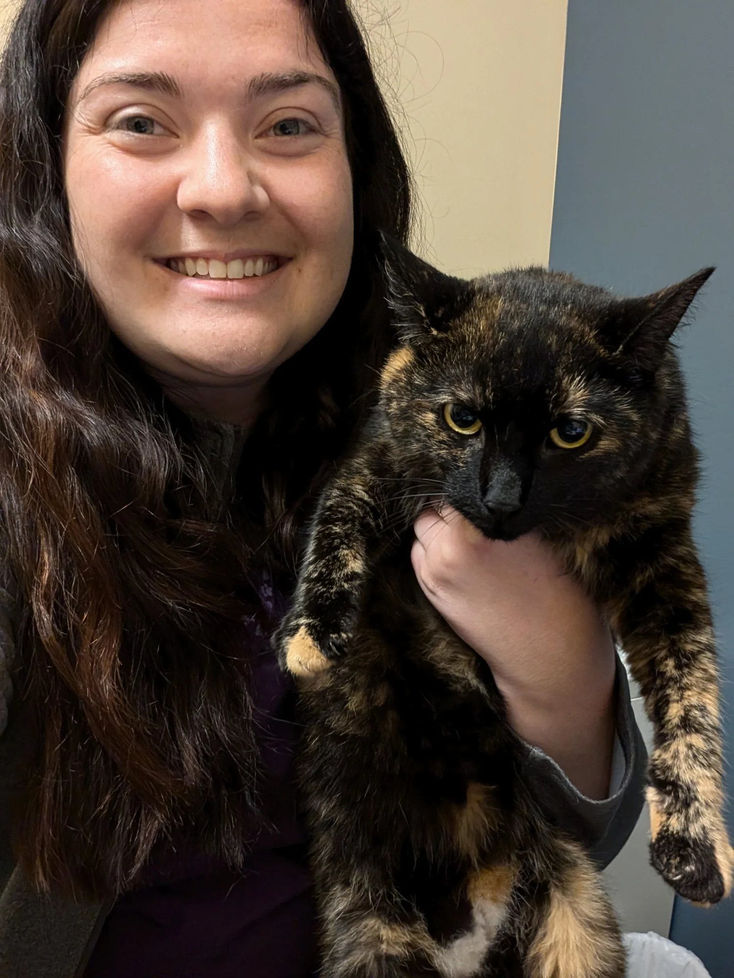 Animal Hospital in Victor, NY | Victor Vet Care