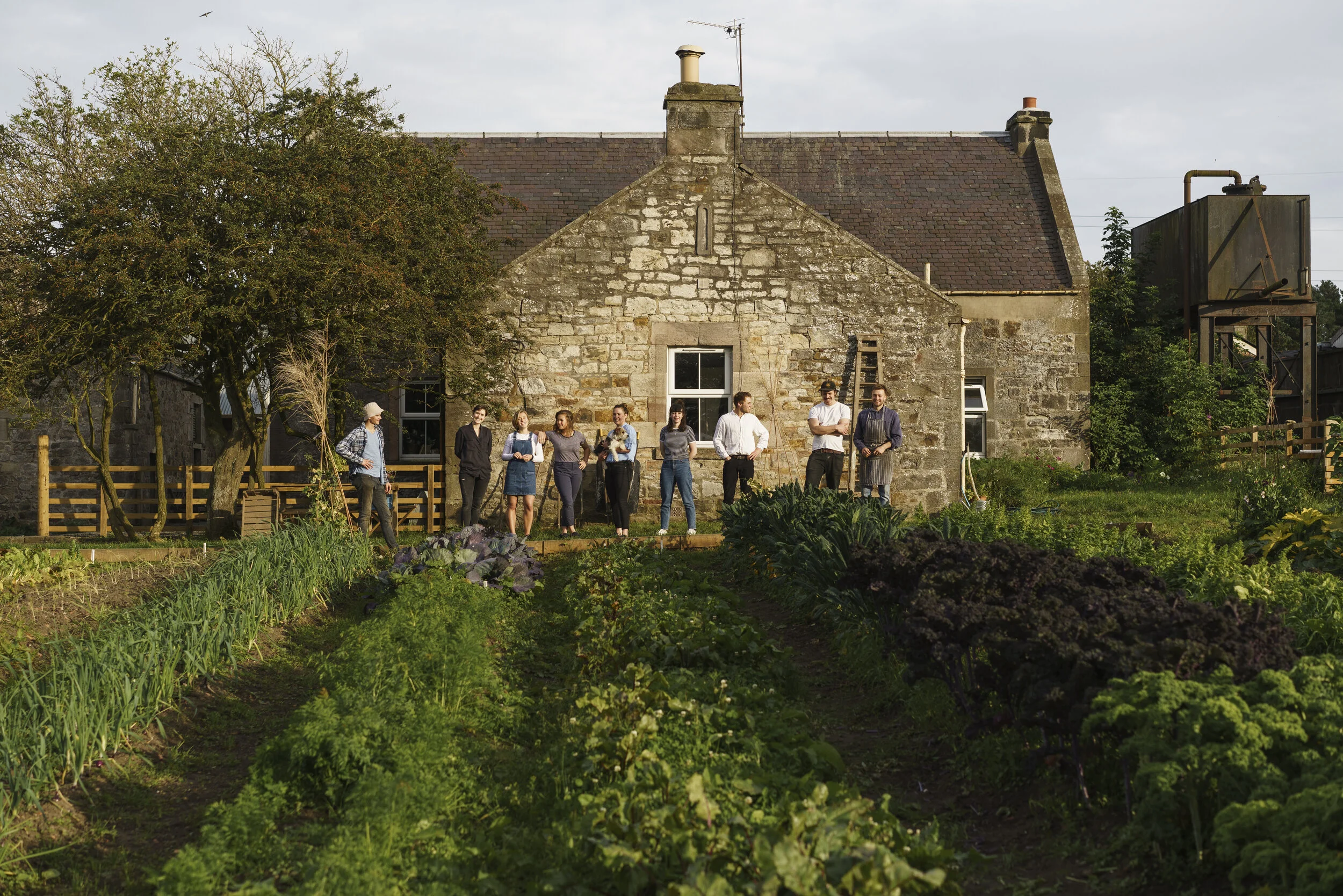 THE FREE COMPANY - Join The Team