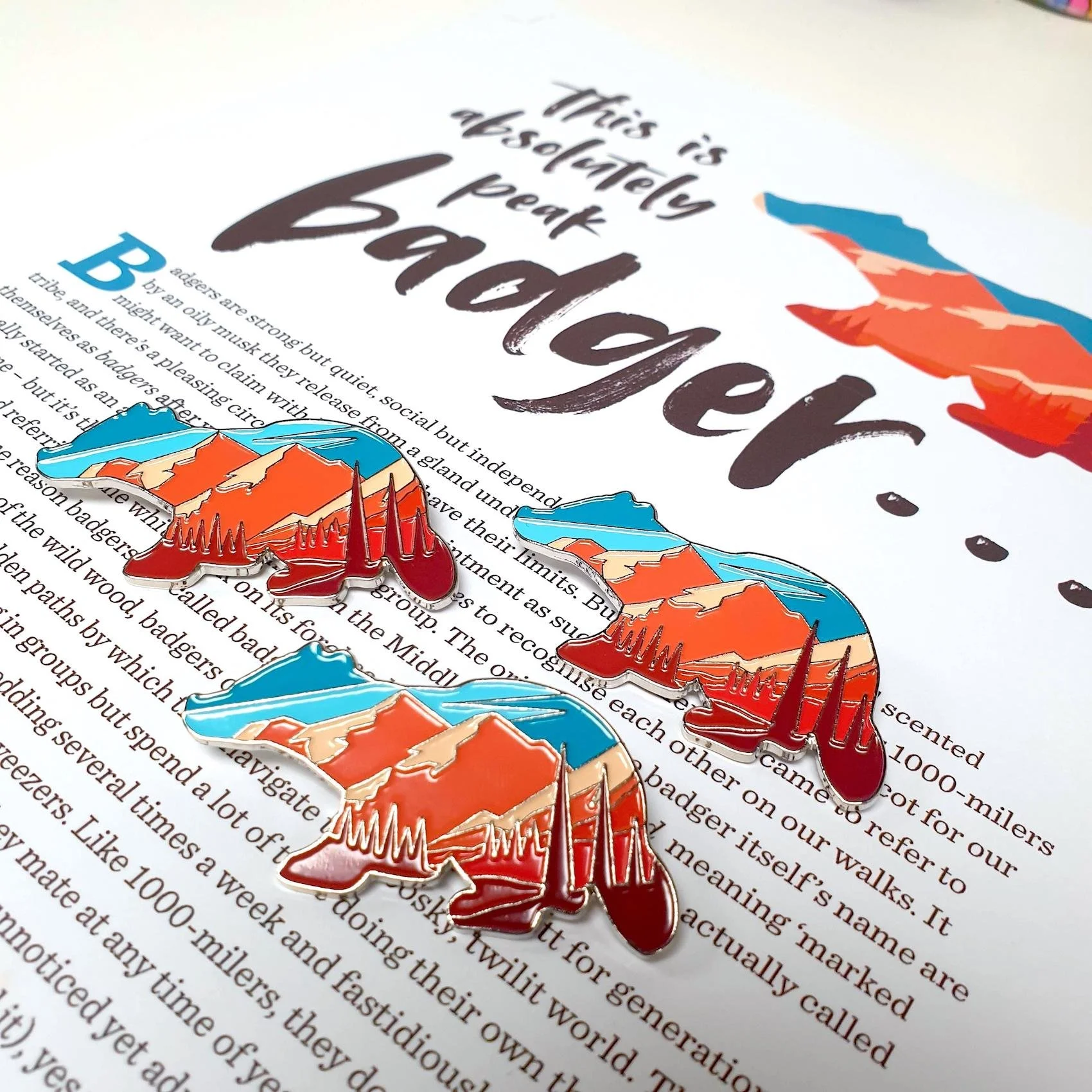 ‘Is it possible to fall in love with a badge?’ — Walk 1000 Miles