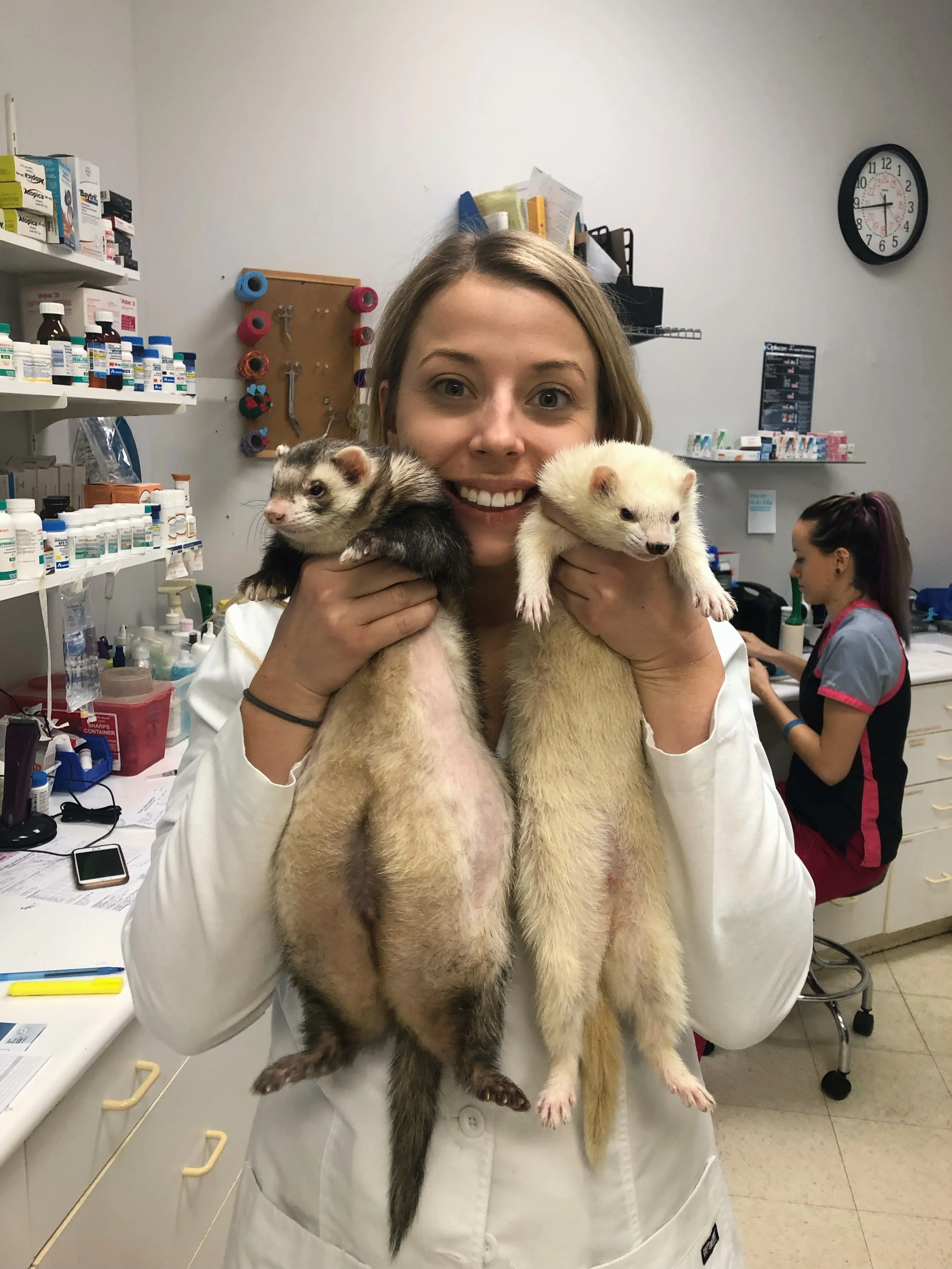 Photo Gallery — Nelson Animal Hospital