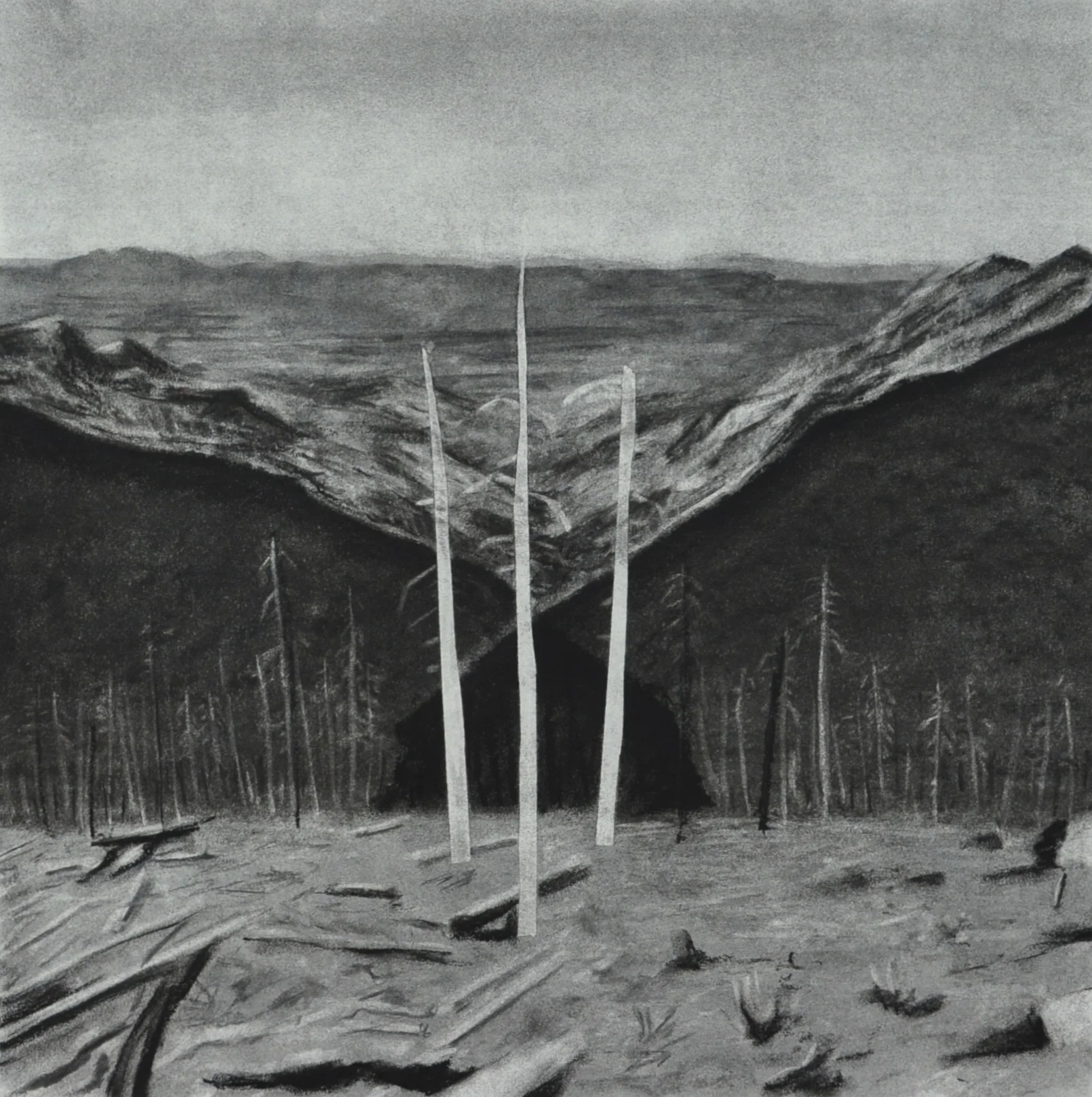 Drawings — Leah Lewman Laird