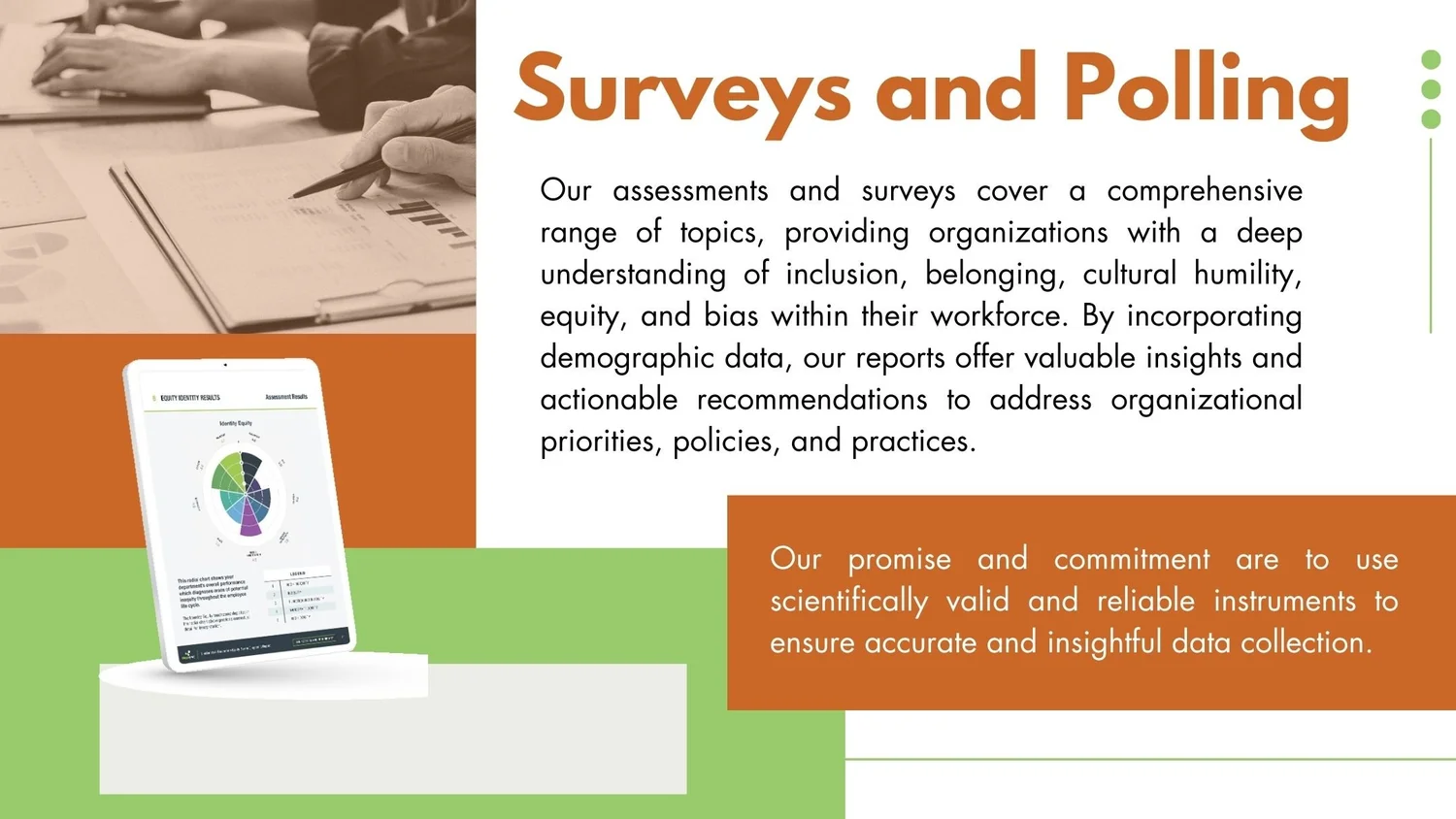 Surveys and Polling — Ruiz Strategies