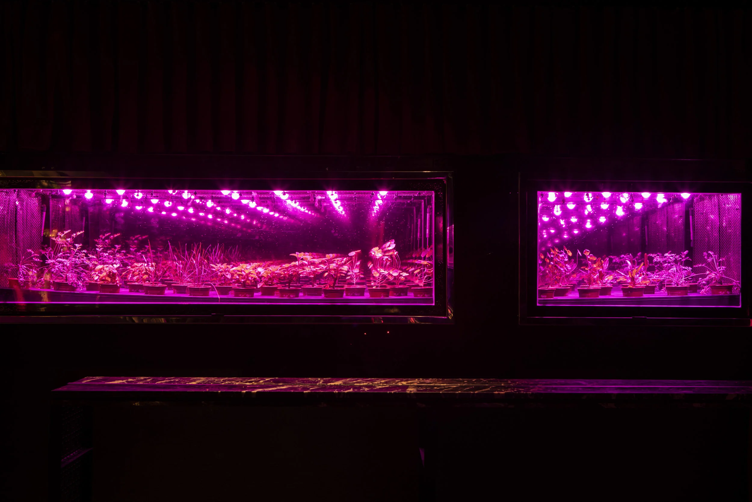 Bar SubAstor | Desça um lance de escadas e encontre um segredo