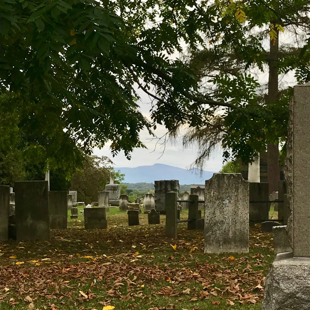 Cemeteries of Greene County — Vedder Research Library