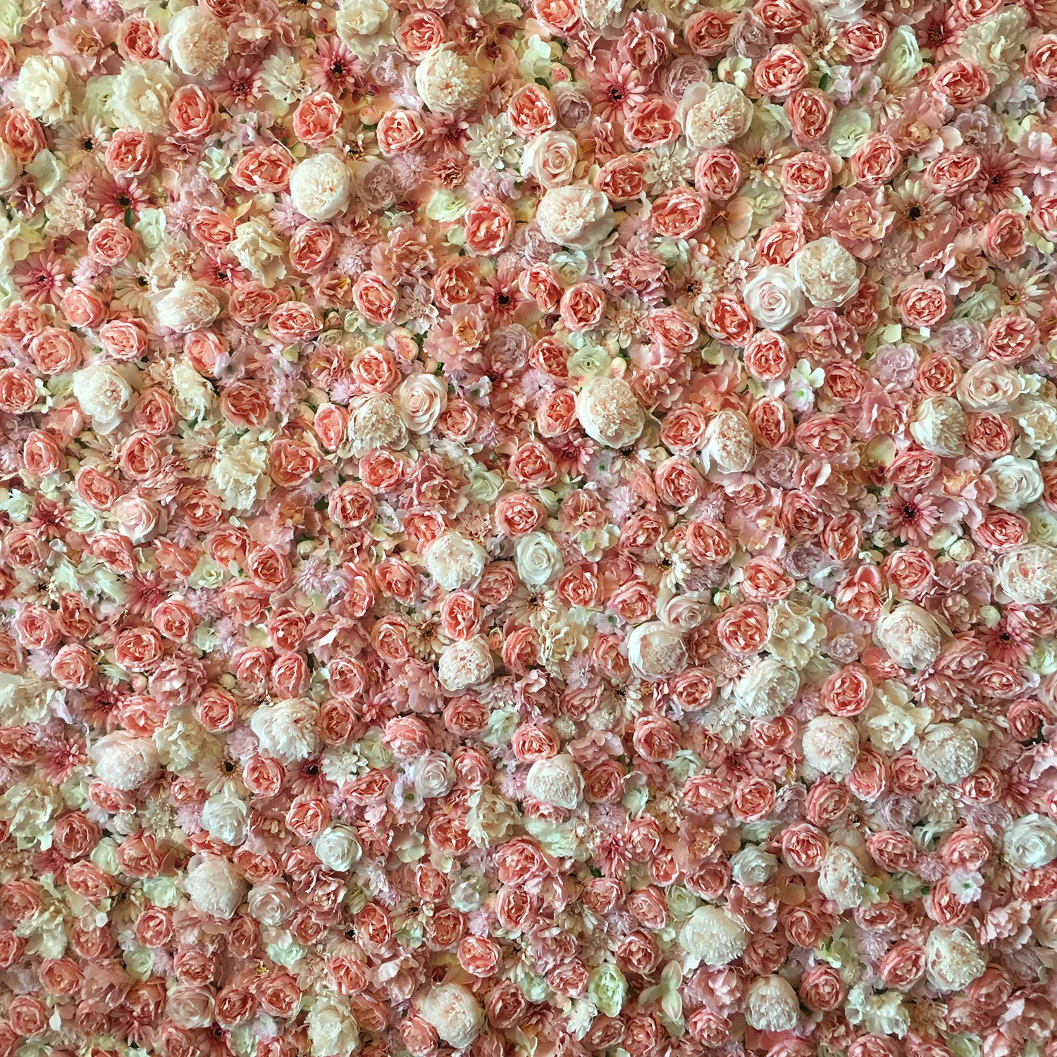 Flower Wall Backdrop Hire Melbourne | Best Flower Site