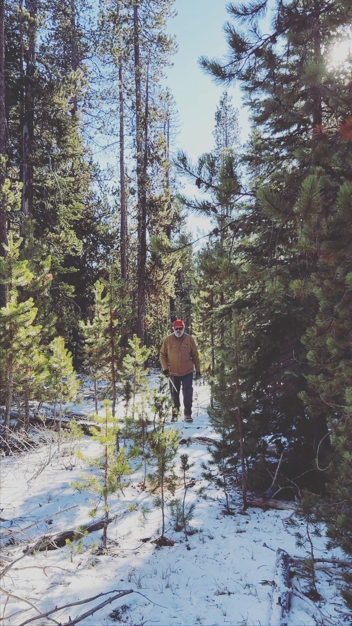 Desert Specialty Spices | Desert Provisions