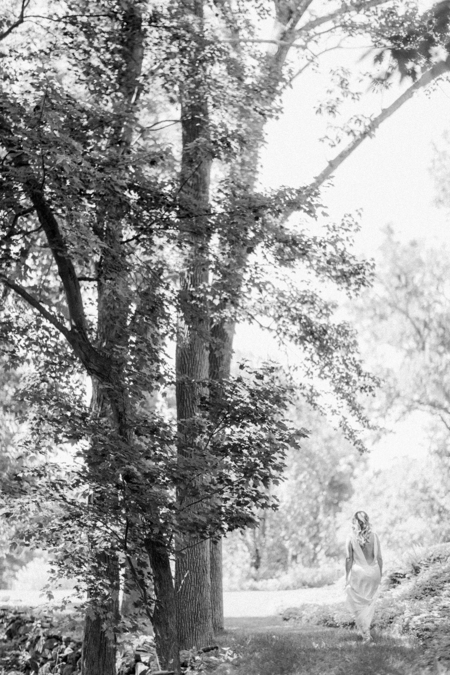 The Inn at Pound Ridge Wedding / Virginia + Max — Joseph Lin Photography