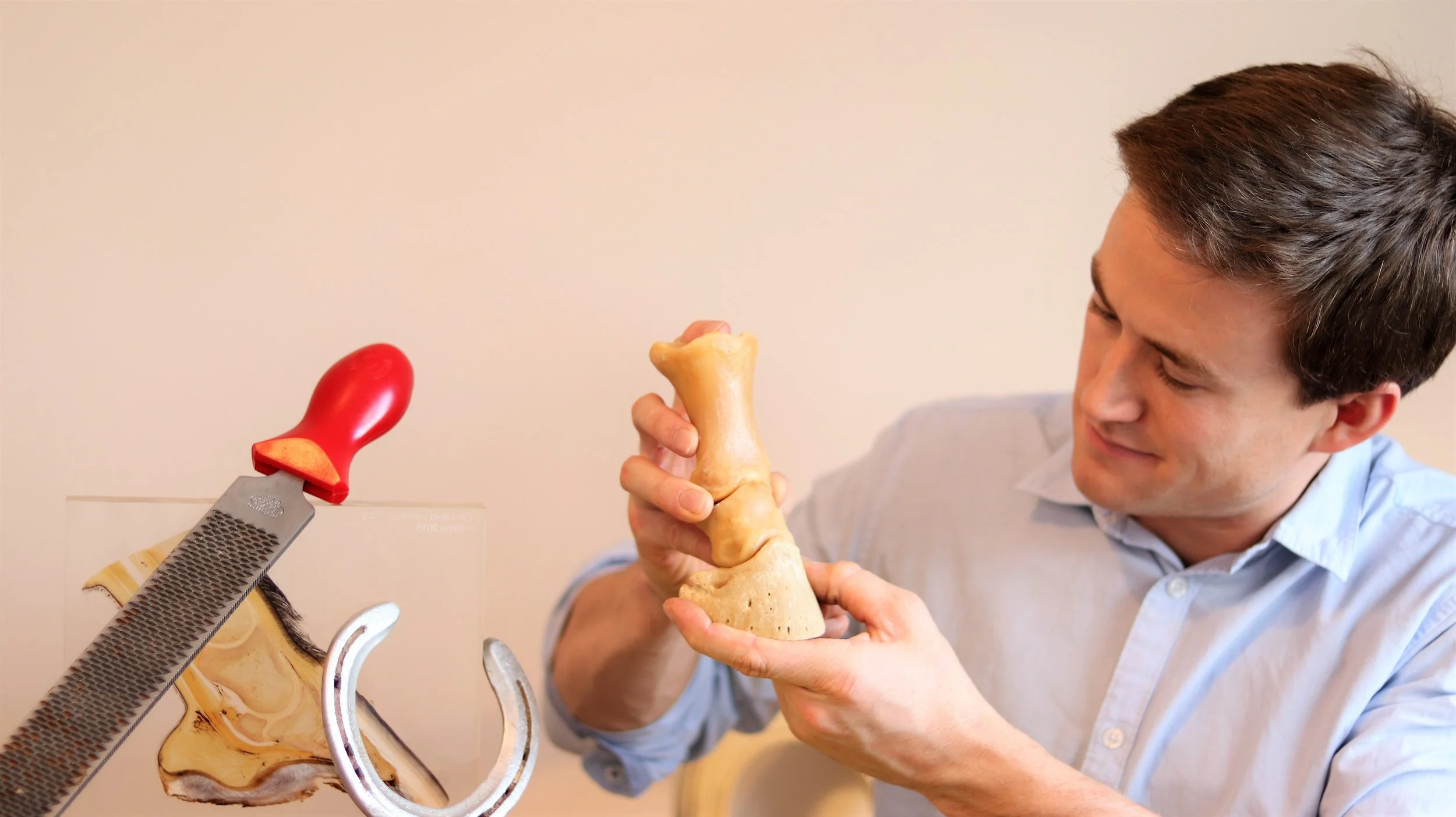 Newmarket Farrier - Alex Ridgeway DipWCF