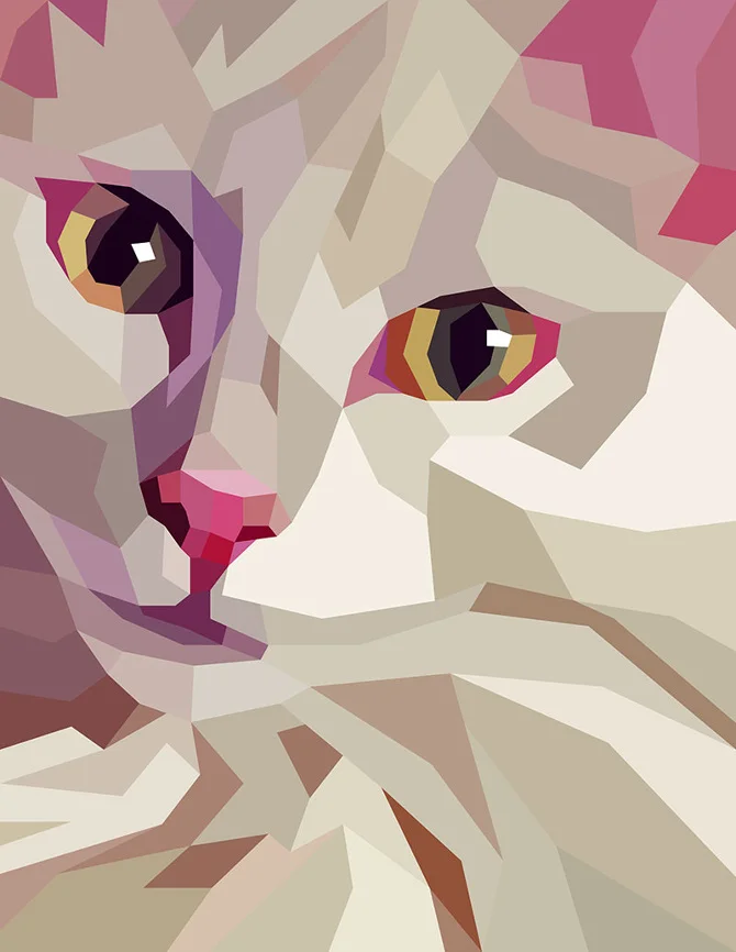 Liam Brazier illustration and animation