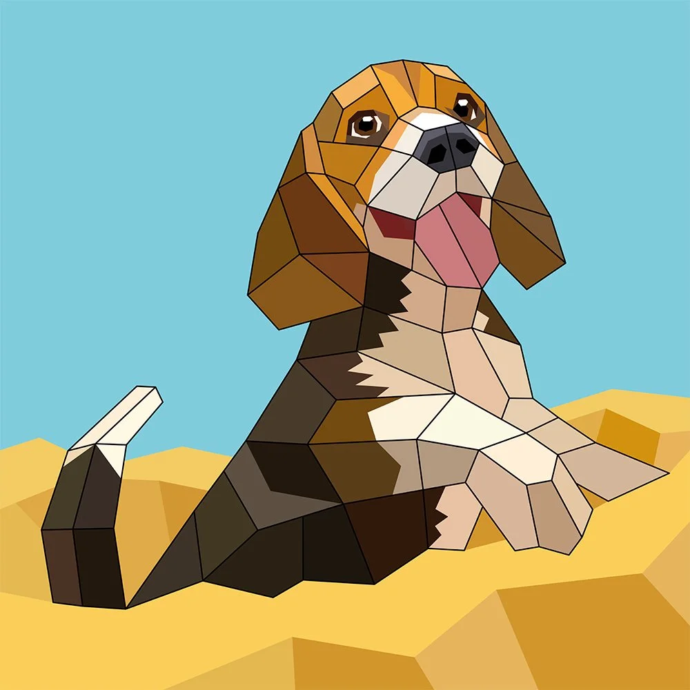 Paint by Sticker — Liam Brazier illustration and animation