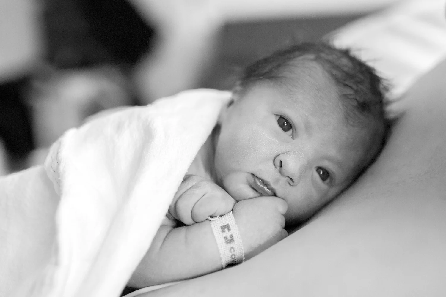 Birth Gallery — Birth & Life Photography