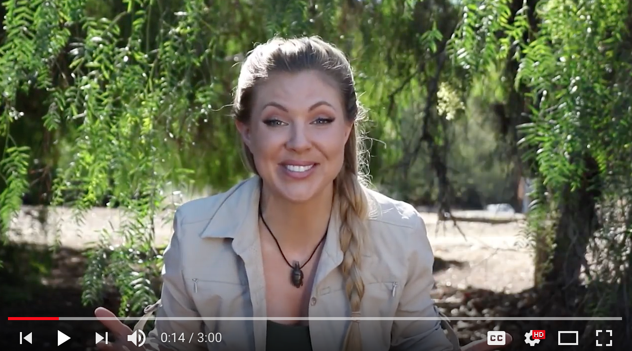 Ms. Mallory Adventures