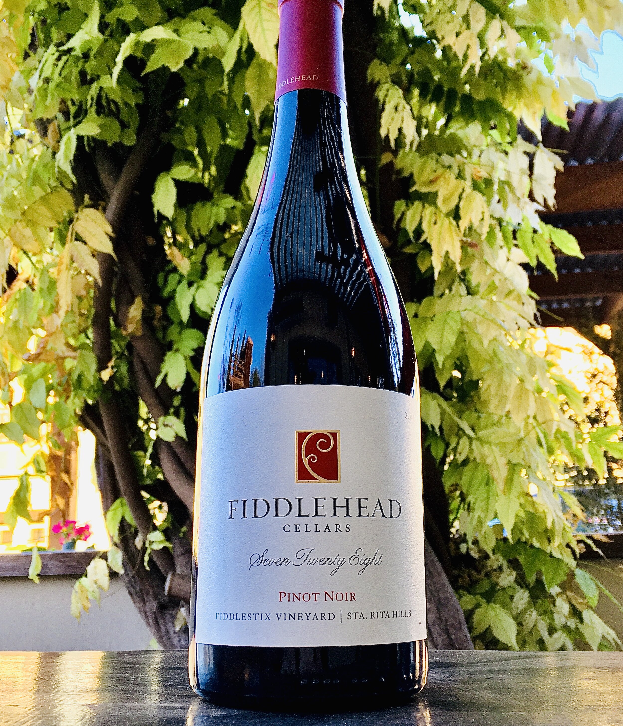 WINE ARTICLES — STORIES OF THE VINE