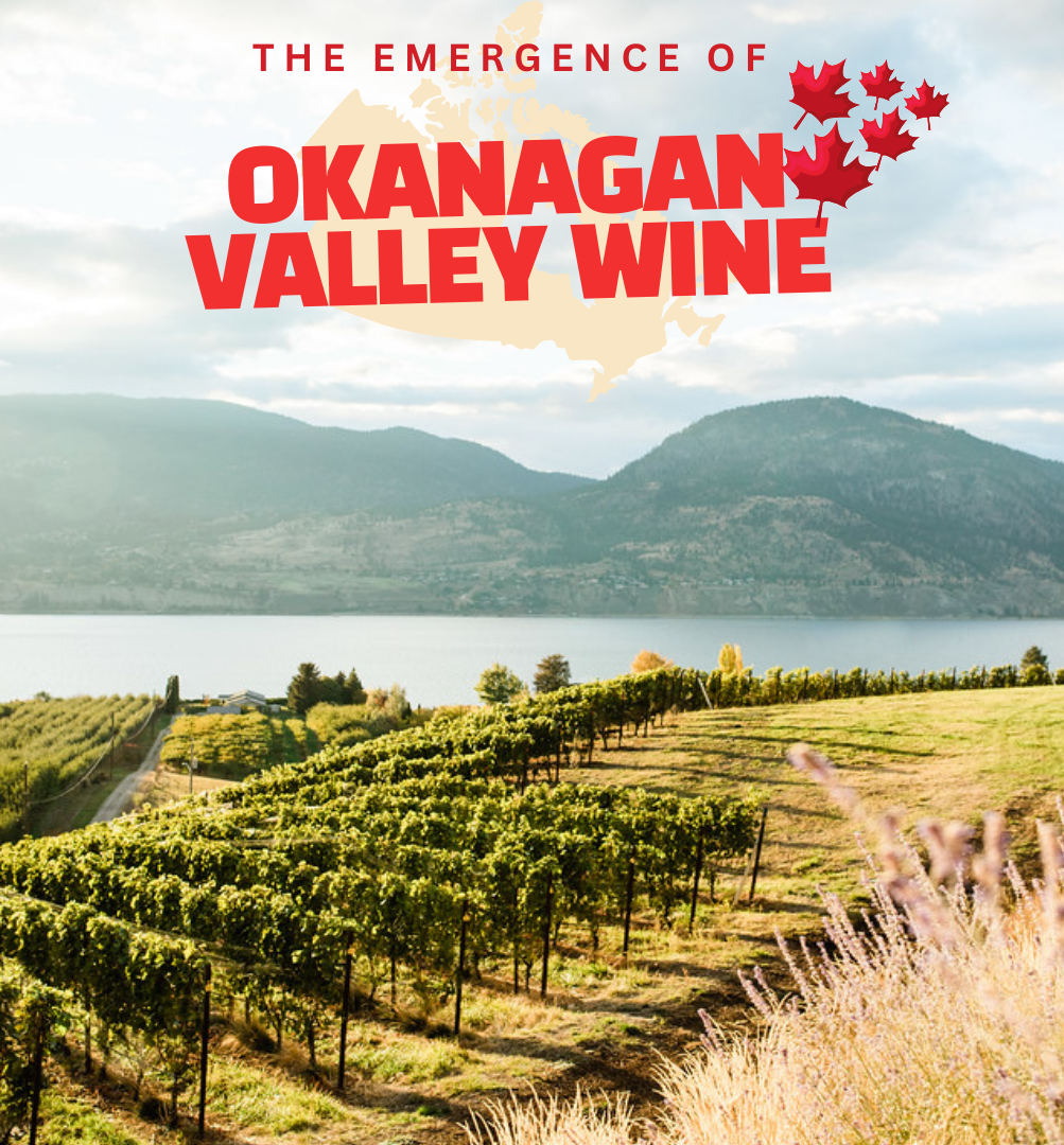 Santa Ynez Valley Wine Guide — STORIES OF THE VINE