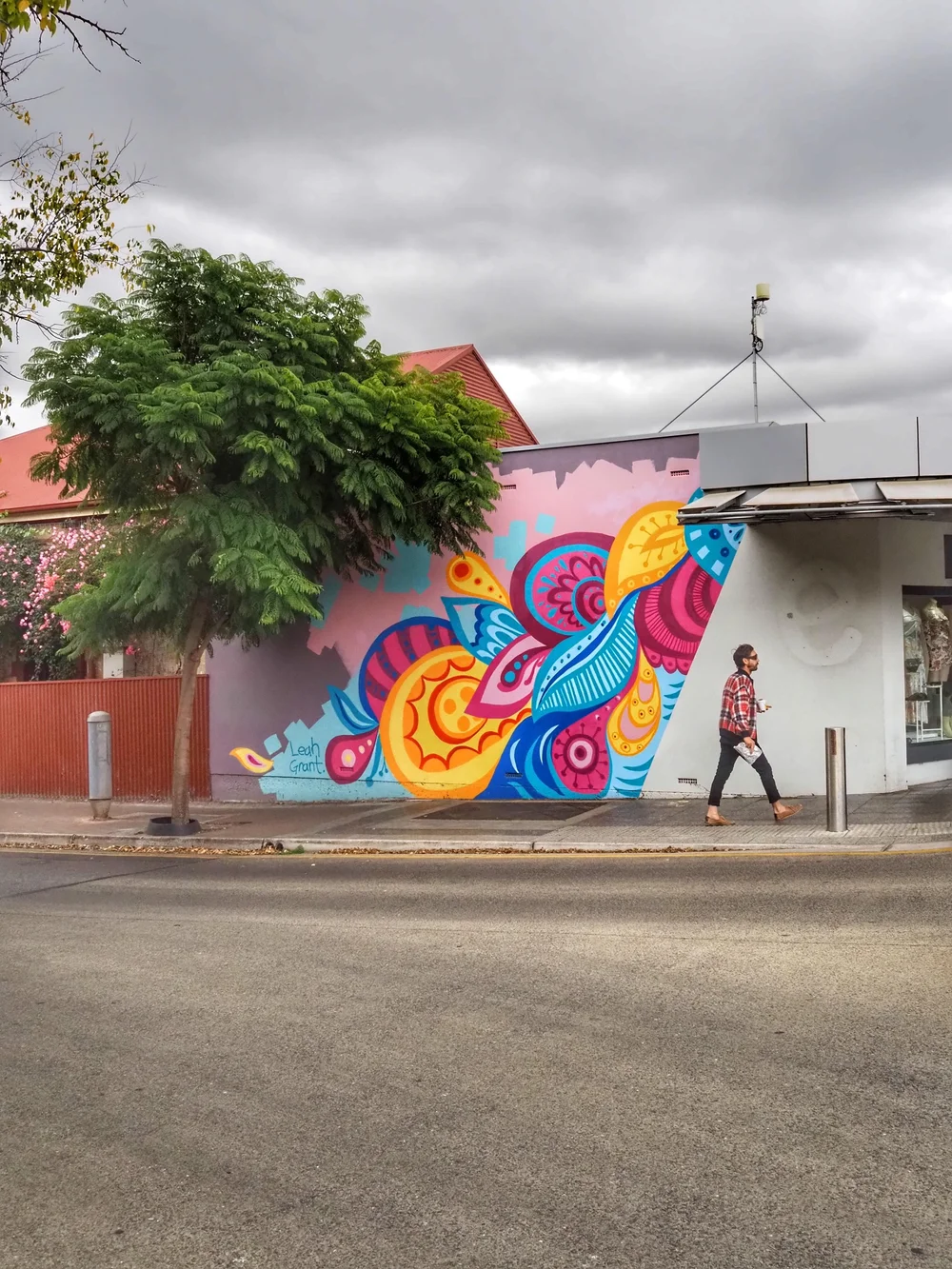 Mural Bookings Adelaide Street Artist — Leah Grant | Adelaide Street Artist
