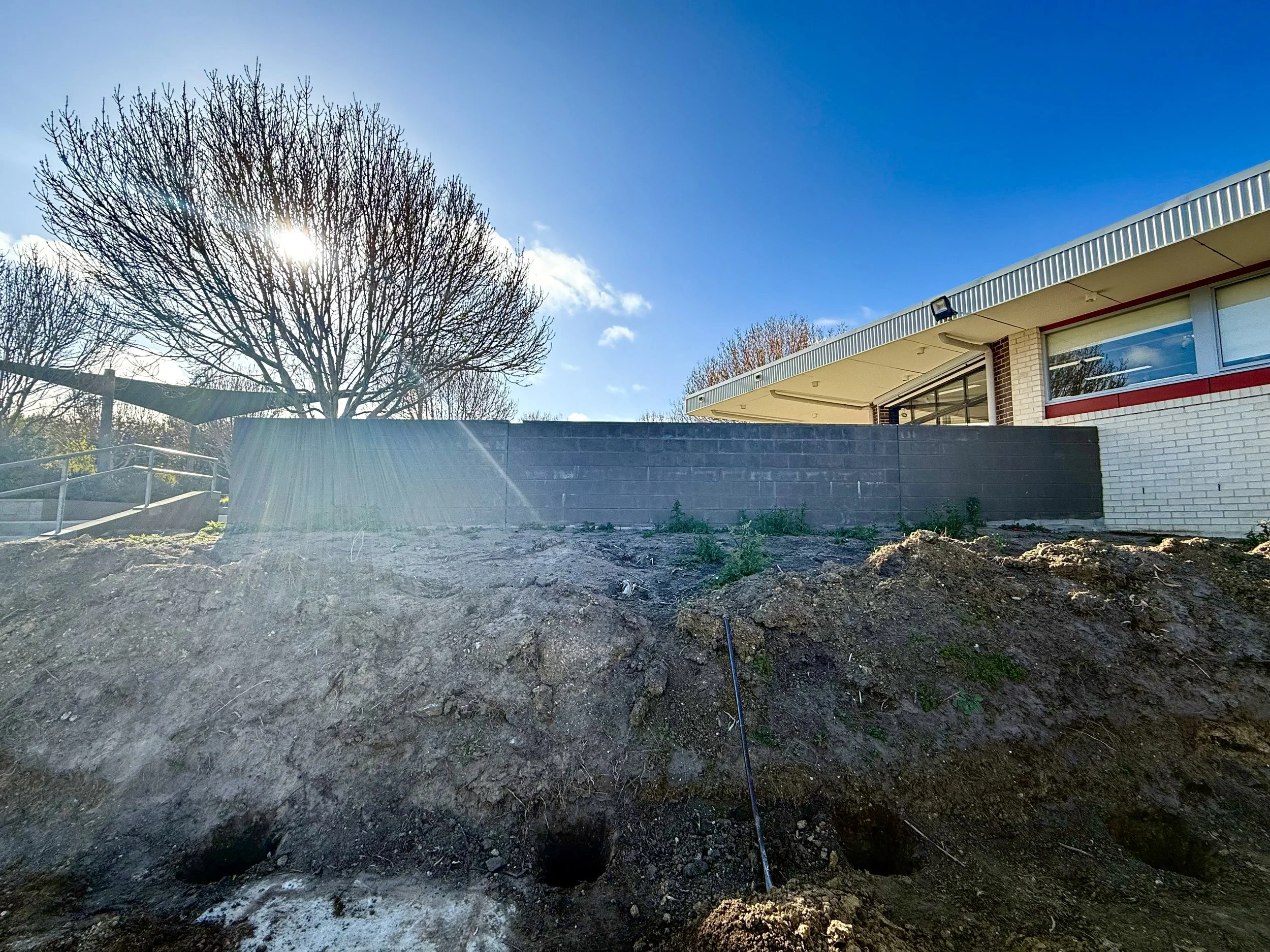 Geelong Lutheran College Mural | Nature-Inspired Mural — Leah Grant ...