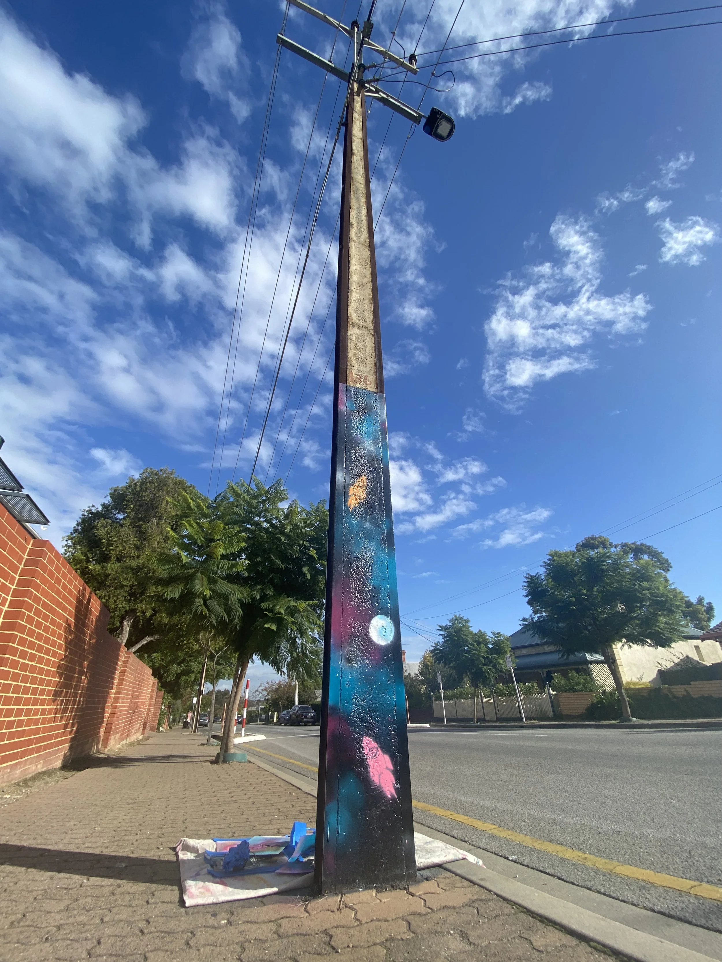 HOW TO PAINT A STOBIE POLE — Leah Grant | Adelaide Street Artist