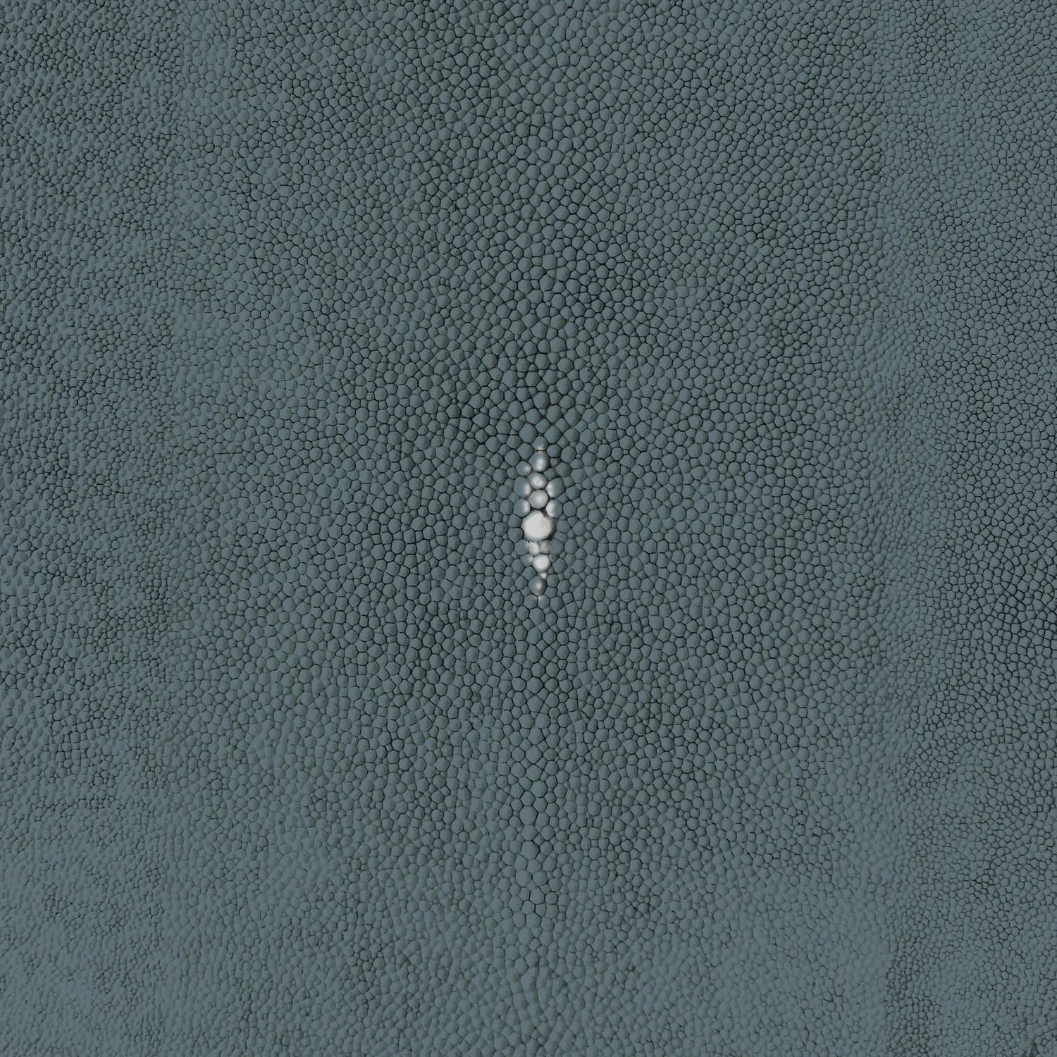 Our finishes — R&Y AUGOUSTI