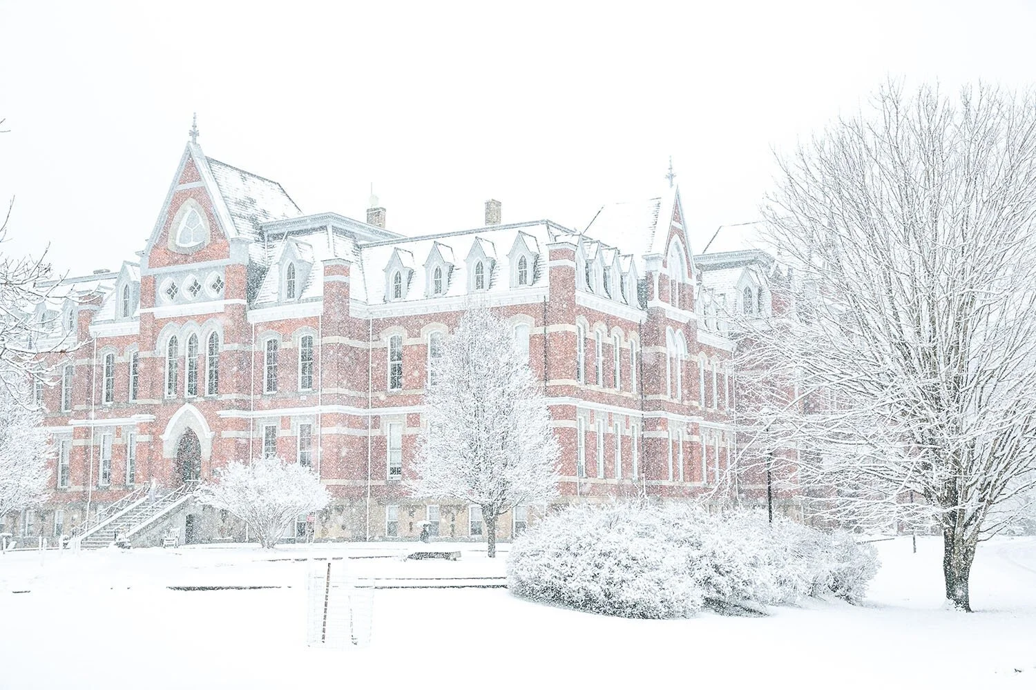 Miller School of Albemarle | Private Boarding & Day School in ...