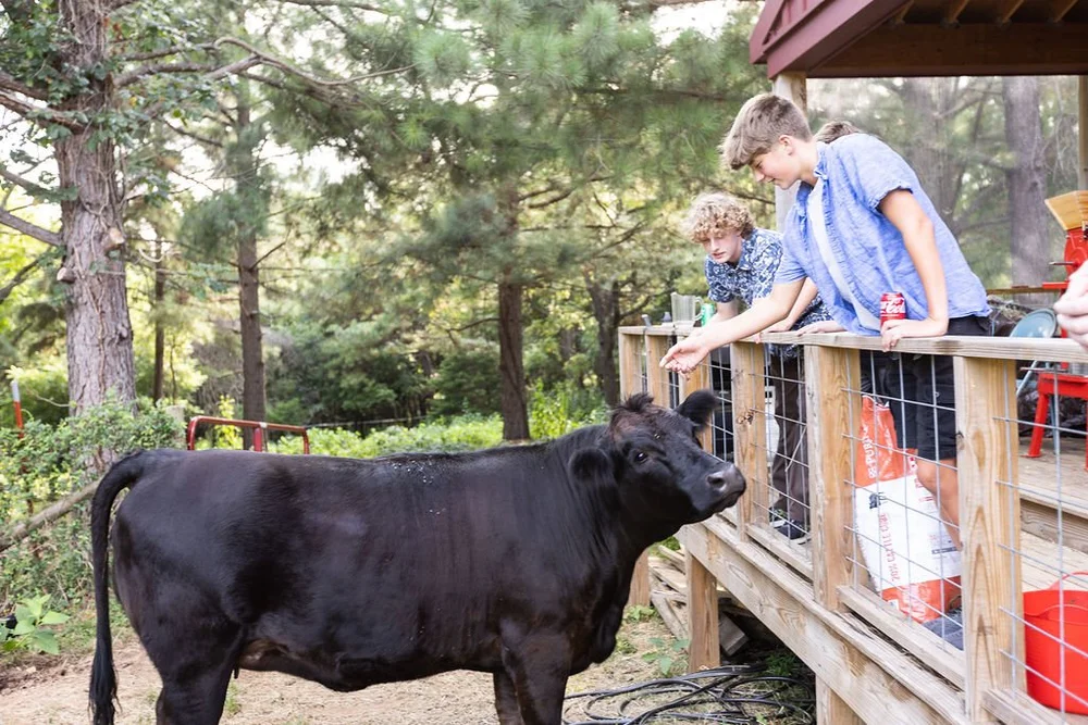 ACADEMICS — Miller School of Albemarle | Private Boarding & Day School ...
